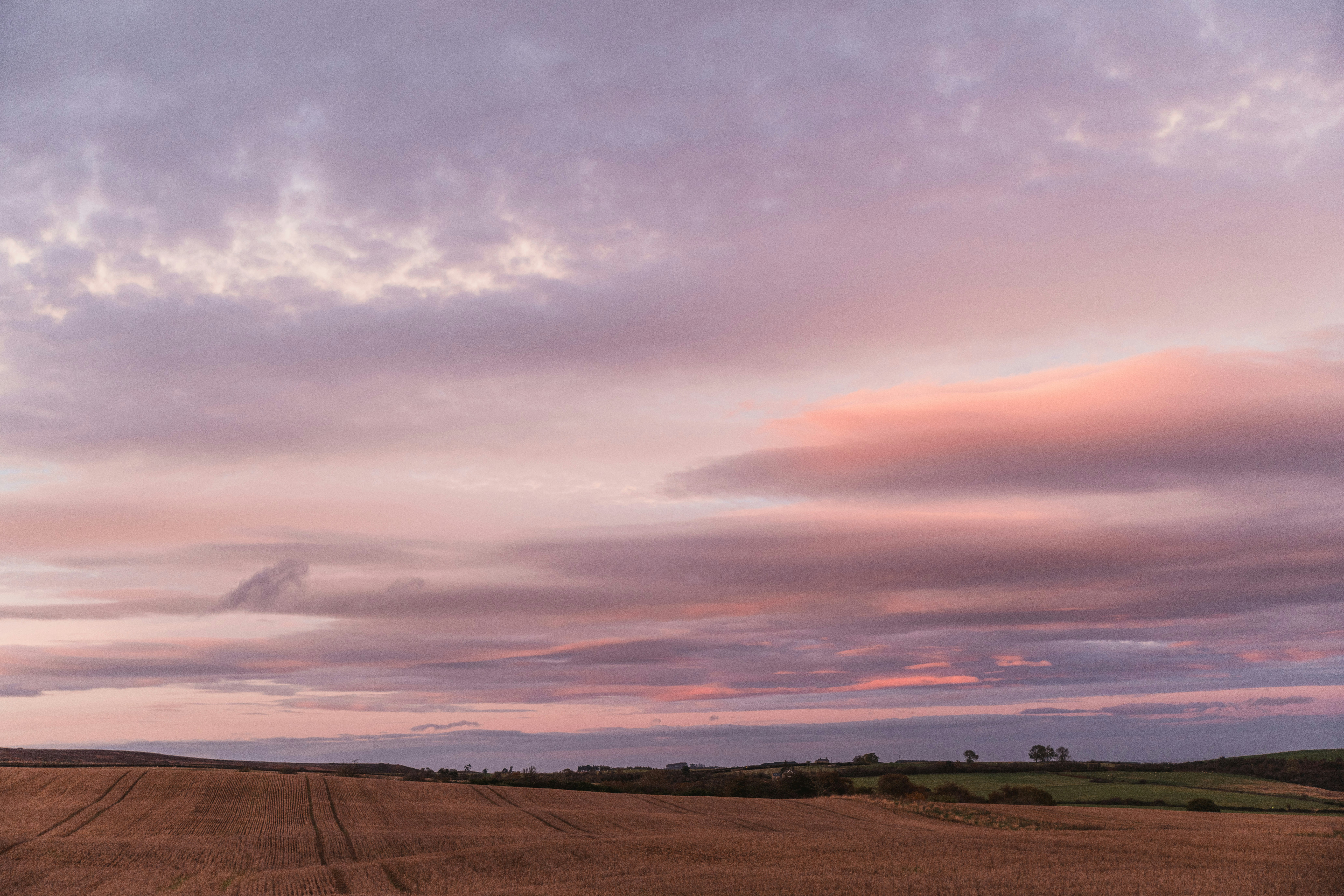 Un grand champ avec quelques arbres photo – Photo La nature Gratuite ...