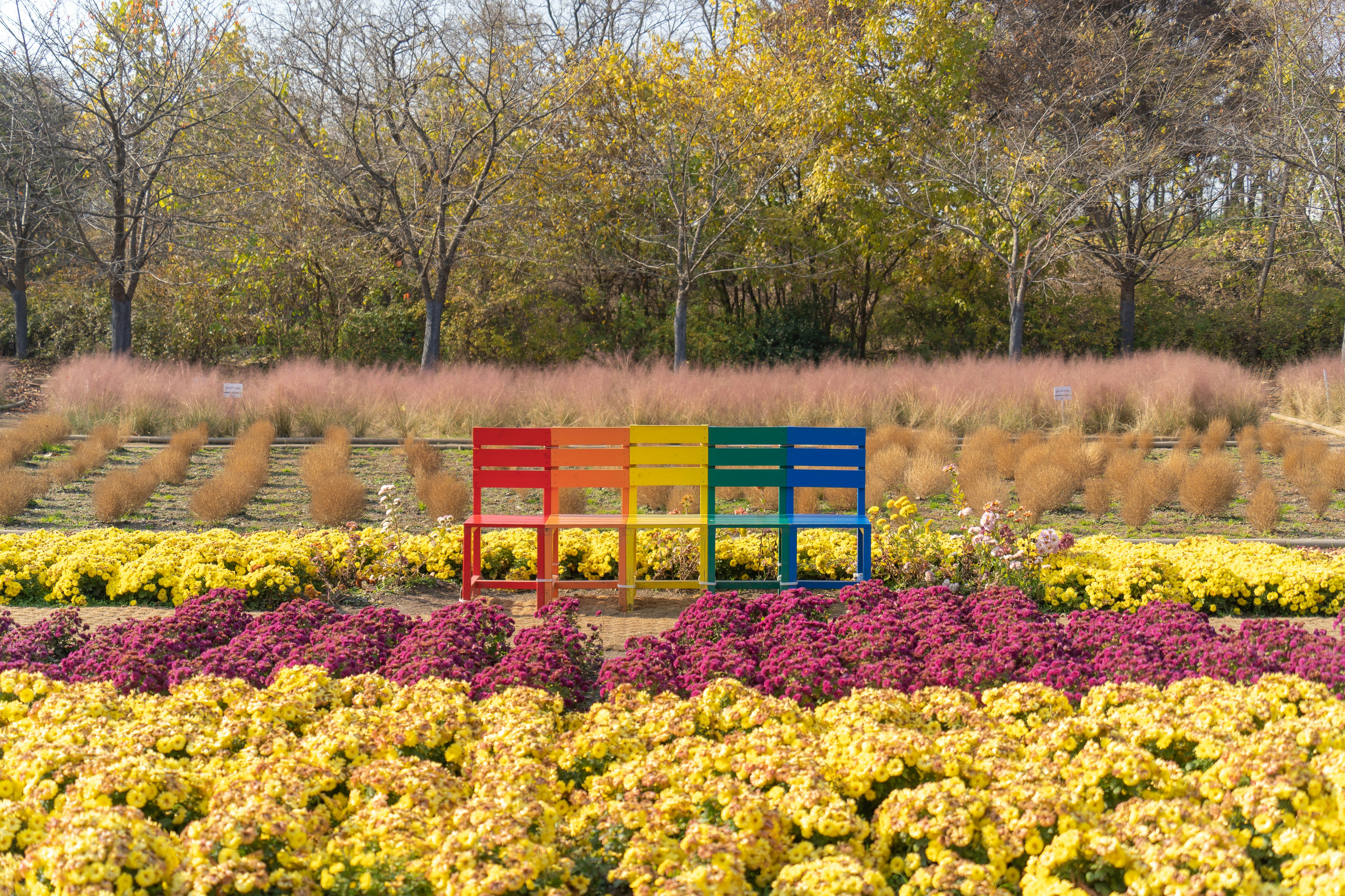 a bench in a flower garden