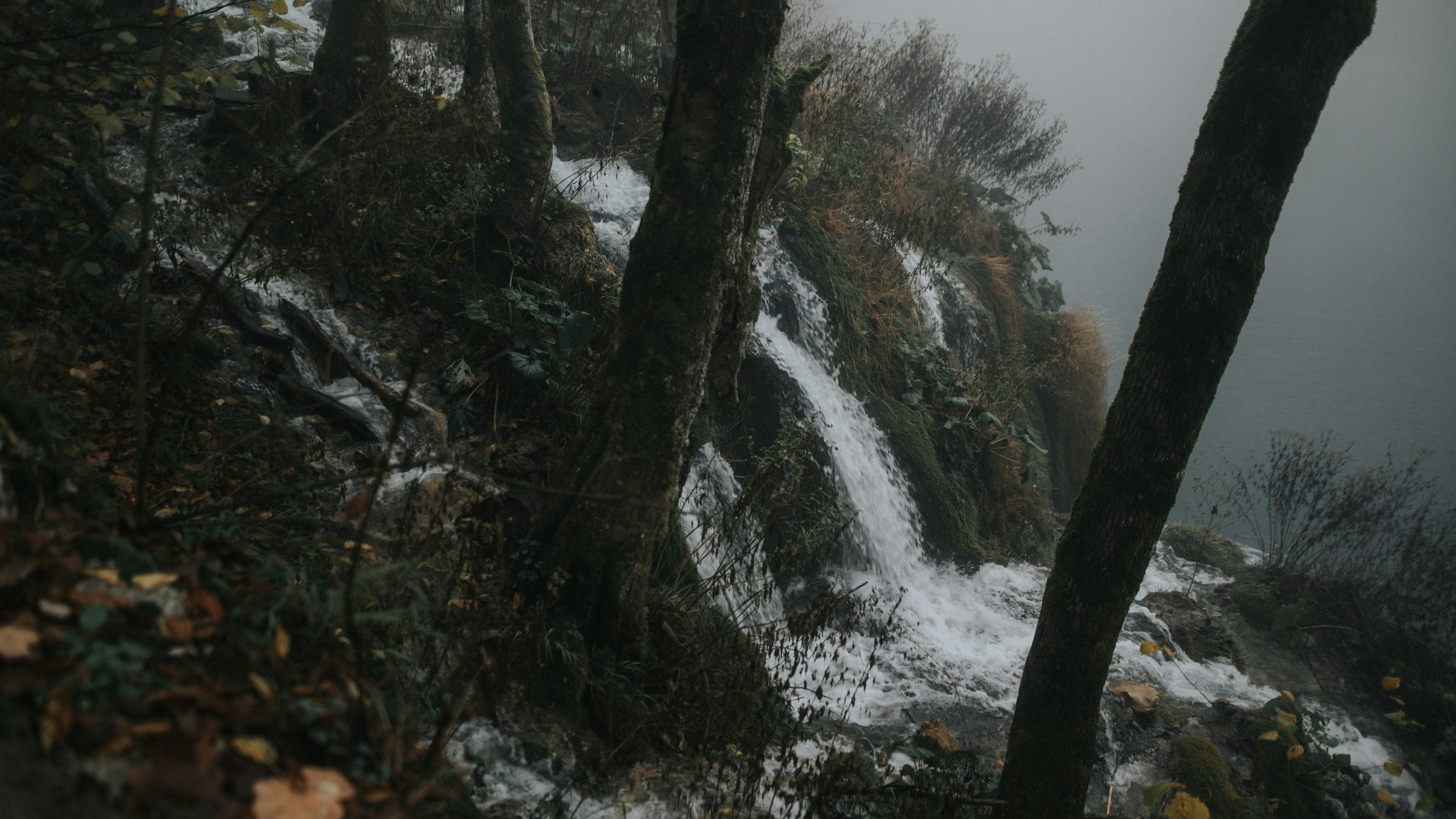 a waterfall in a forest