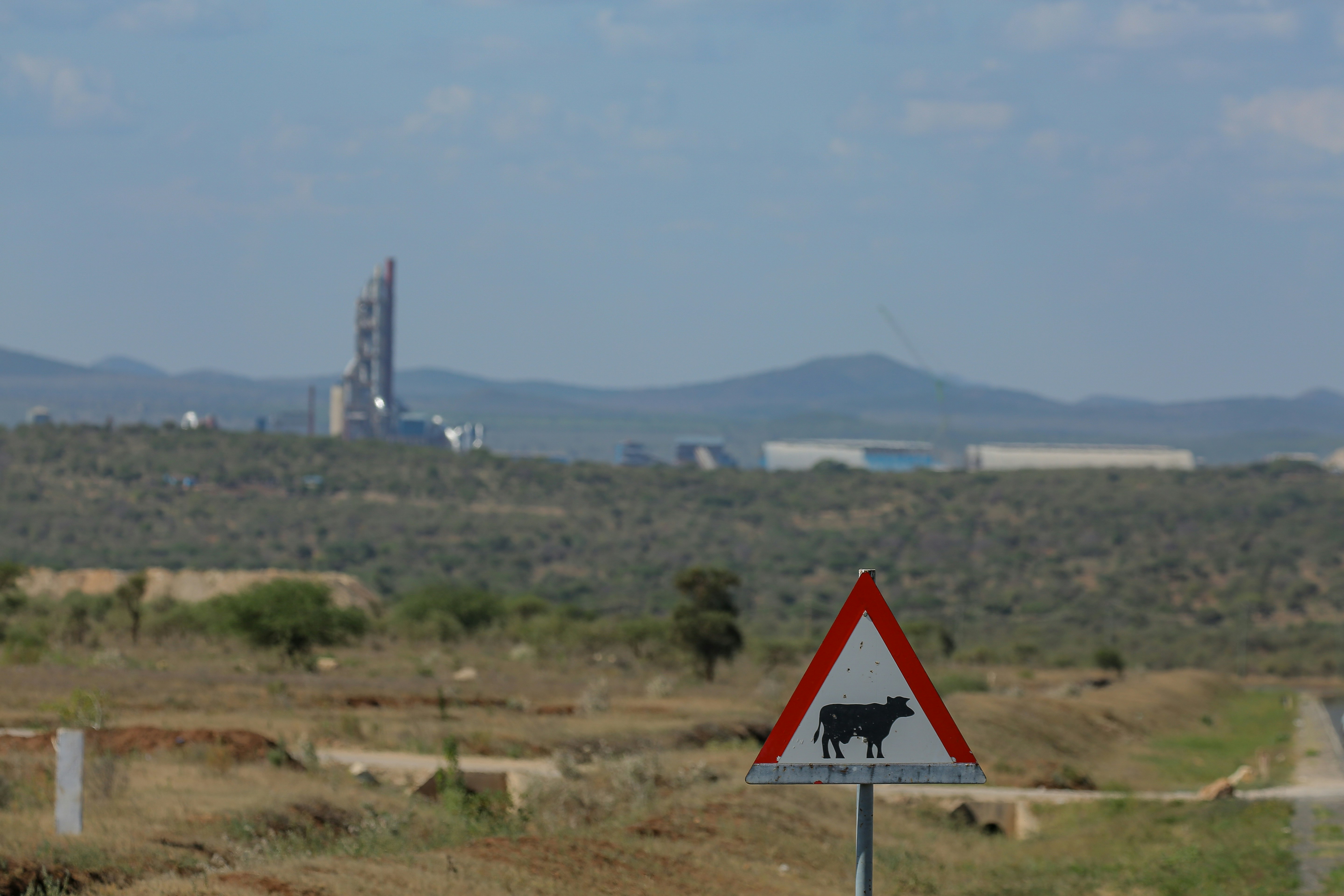 Desert Highway Sign: Cattle Crossing Against a Distant Launch Pad