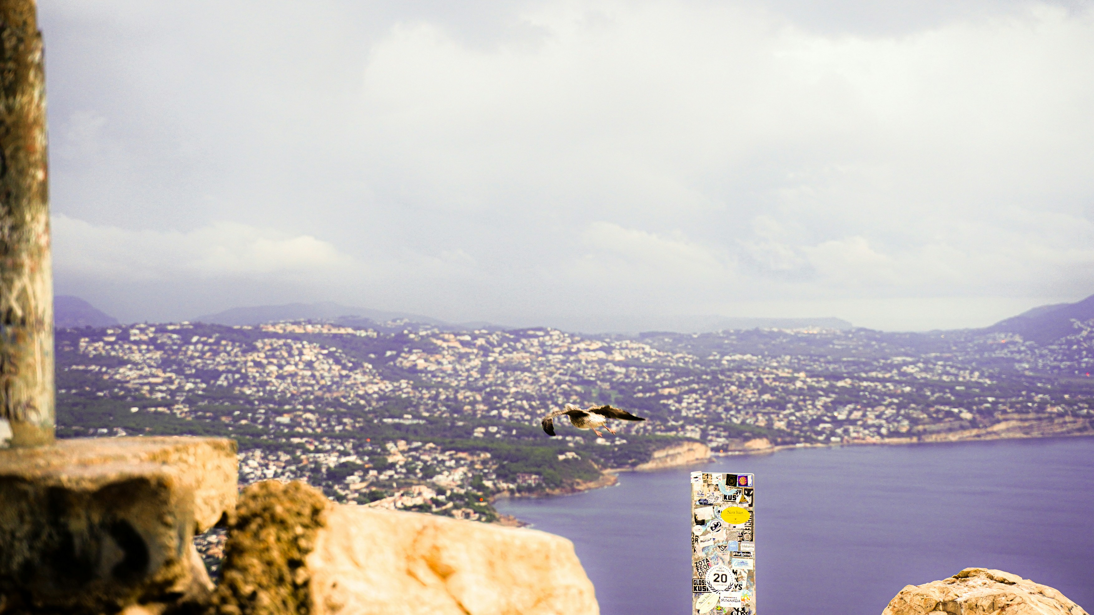 Gull Over a Terraced Coastline: Cliffside Cityscape by the Sea
