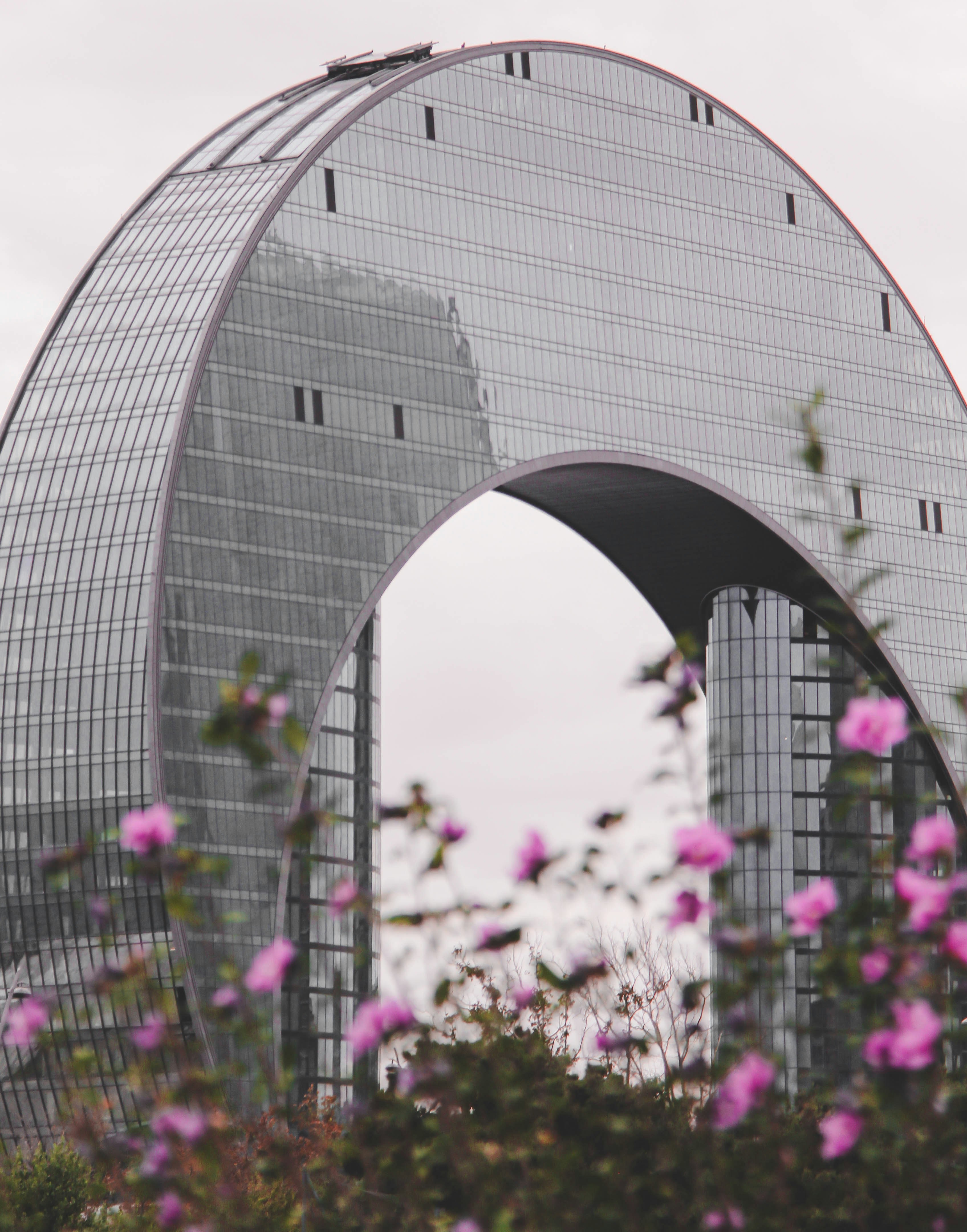 Arching Glass: A Modern Monument Framed by Delicate Blooms