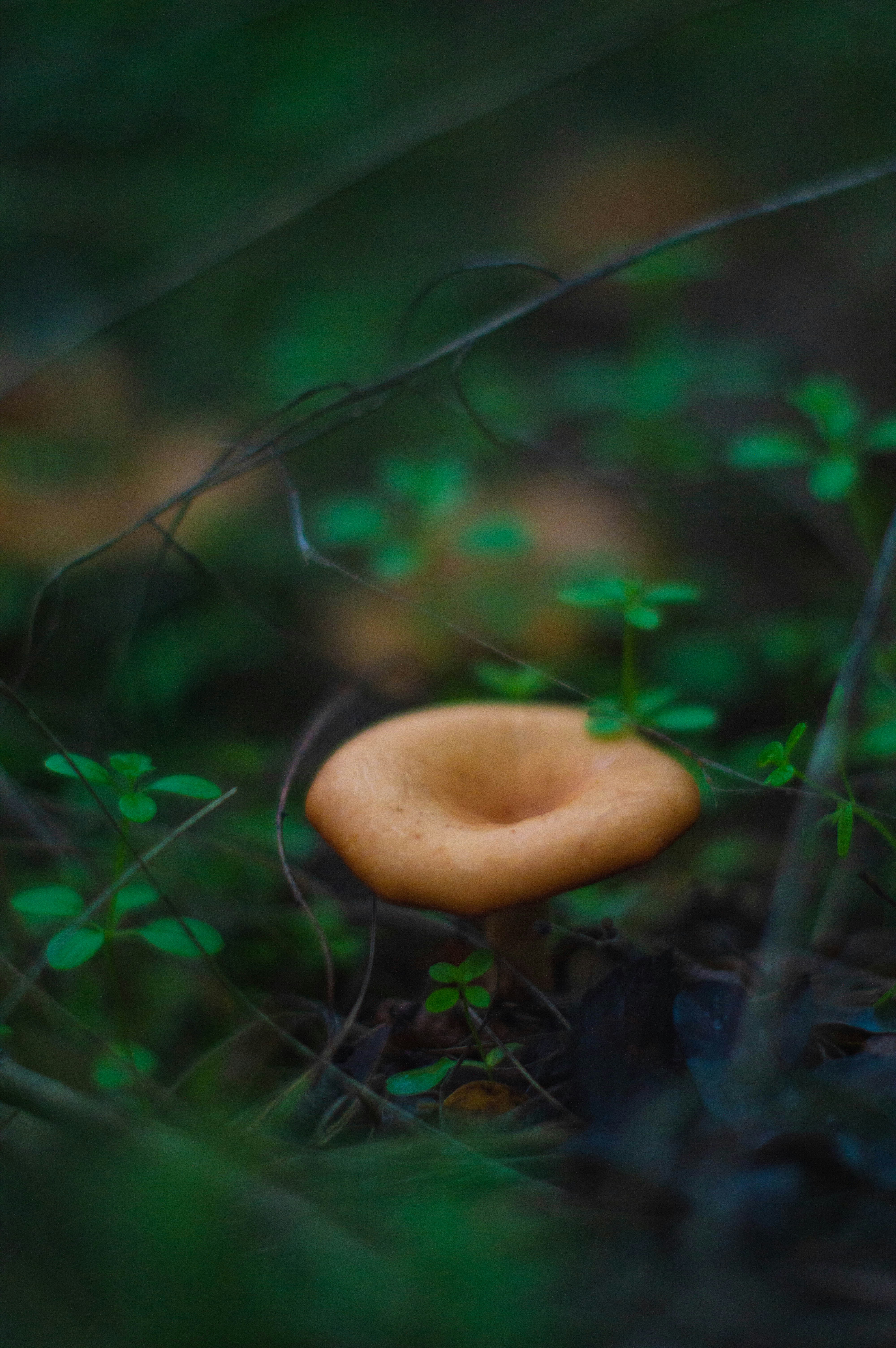 Photo by Марина Соловьёва with Nikon D3200