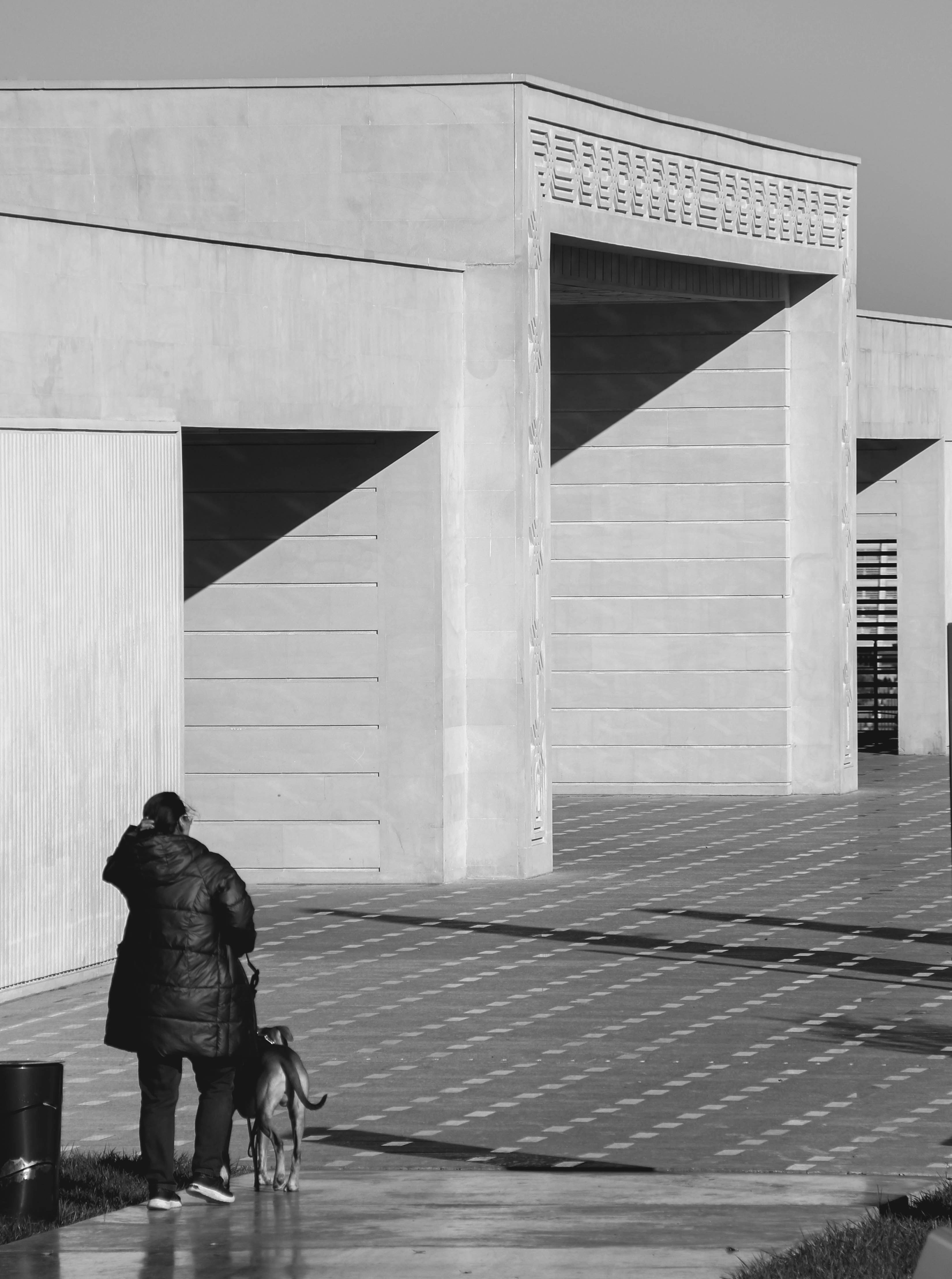 Brutalist Quiet: A Figure and Dog at the Edge of Shadow