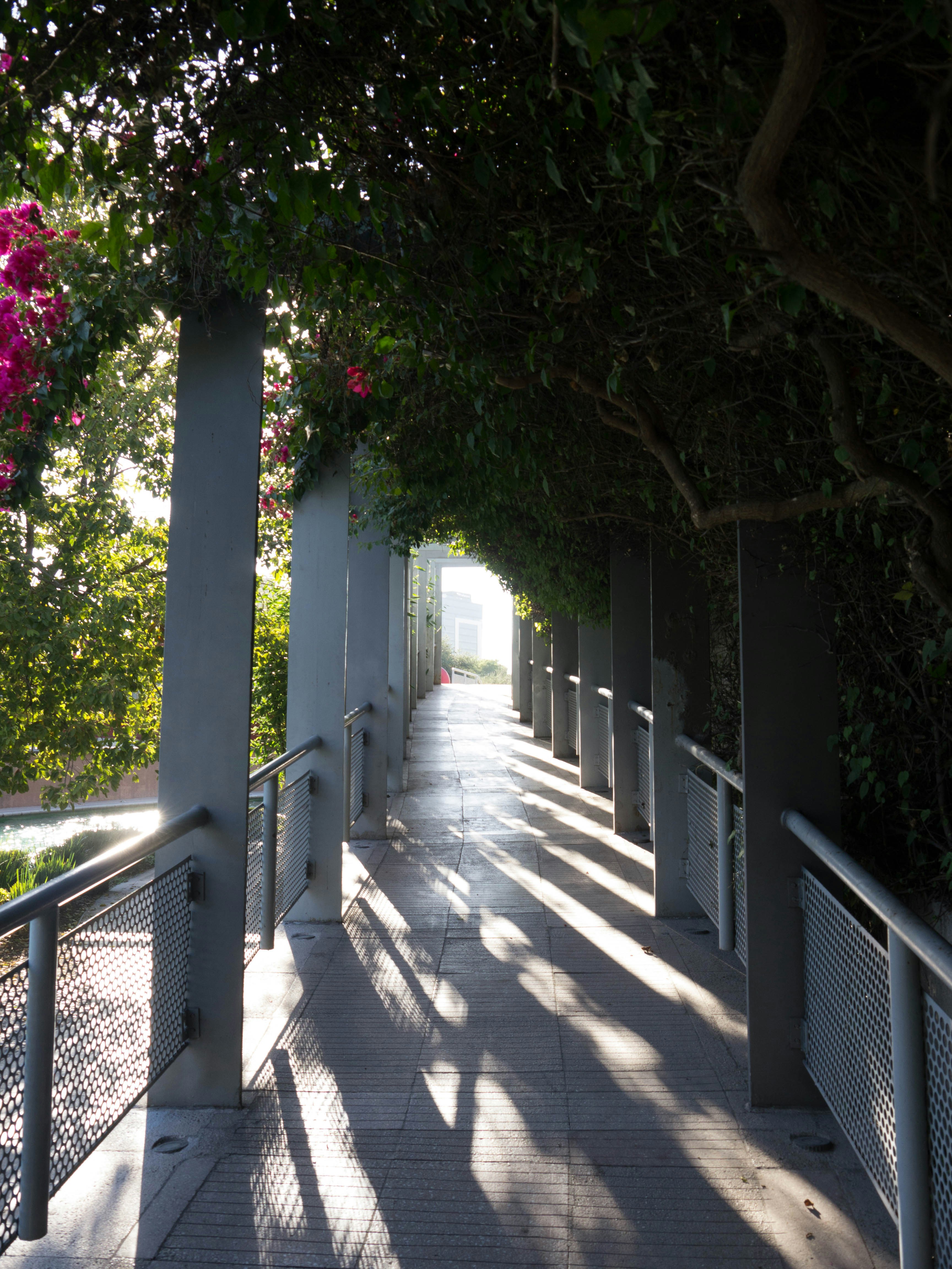 Long covered walkway with rising sun peeking through at the end; strong shadows and repeating vertical columns create depth, with greenery overhead and railings on both sides.