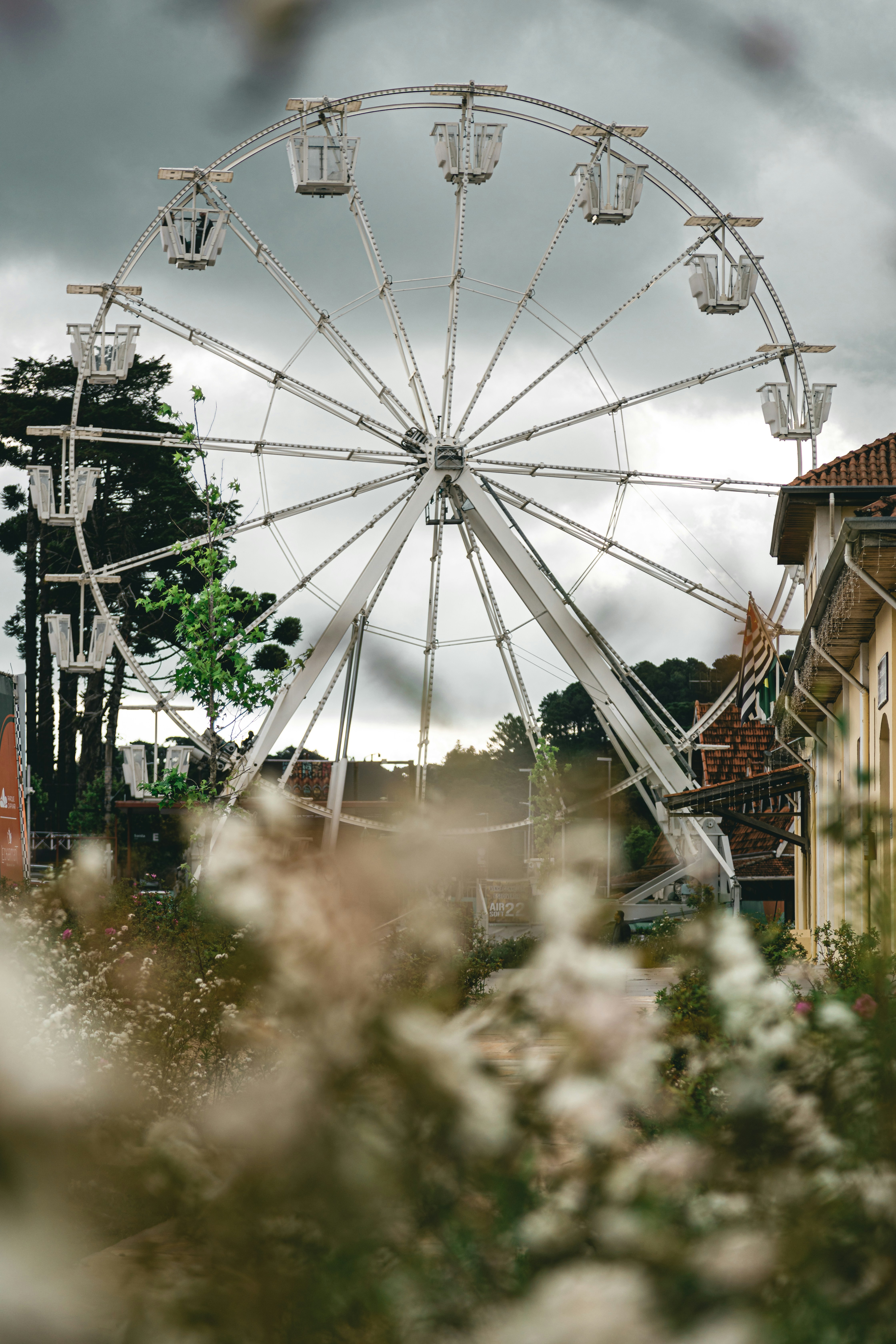 Center Ring Over a Flower-Kissed Town