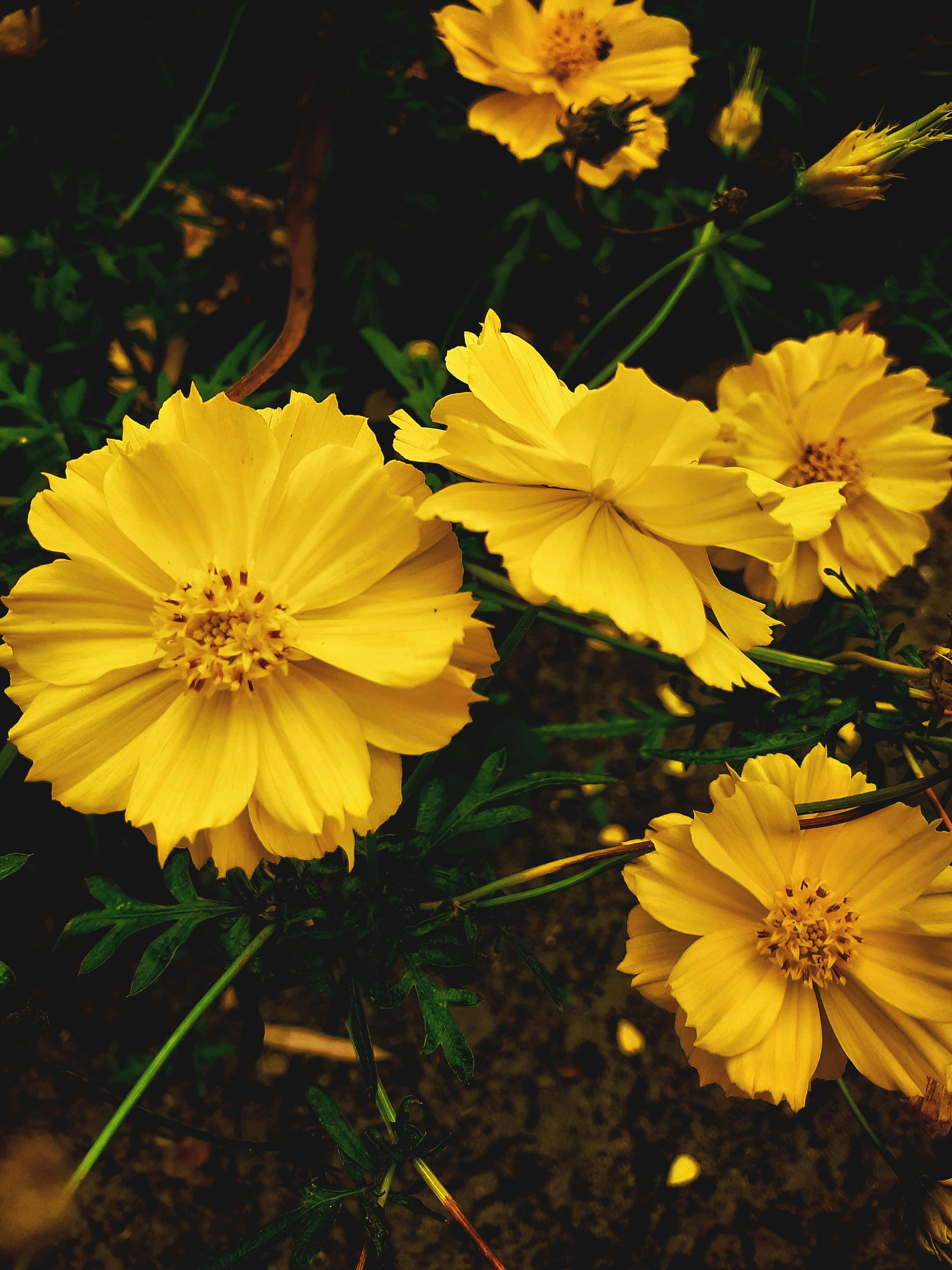 Turus Photos | Télécharger des images gratuites sur Unsplash