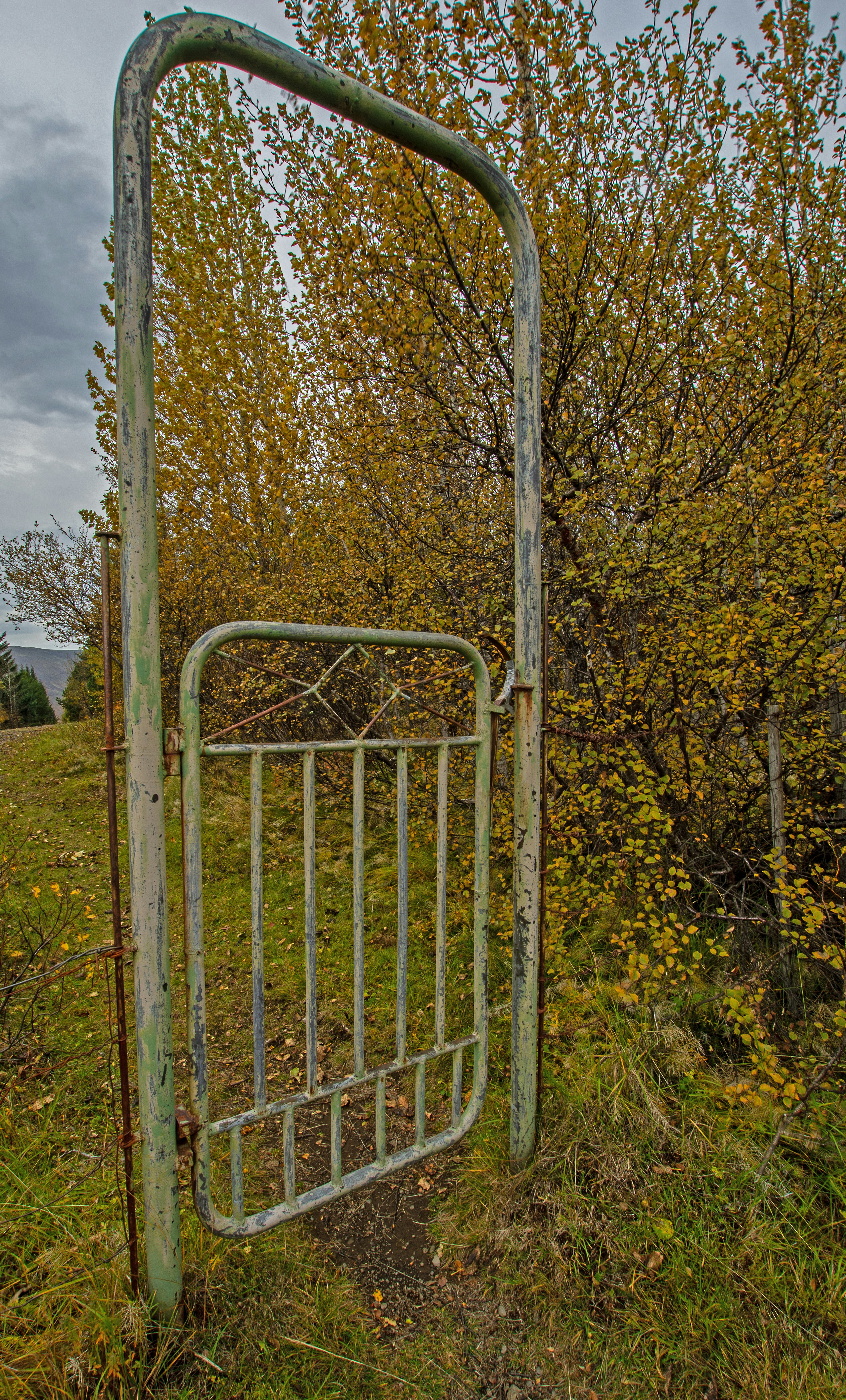 A metal gate in a field photo – Free Iceland Image on Unsplash