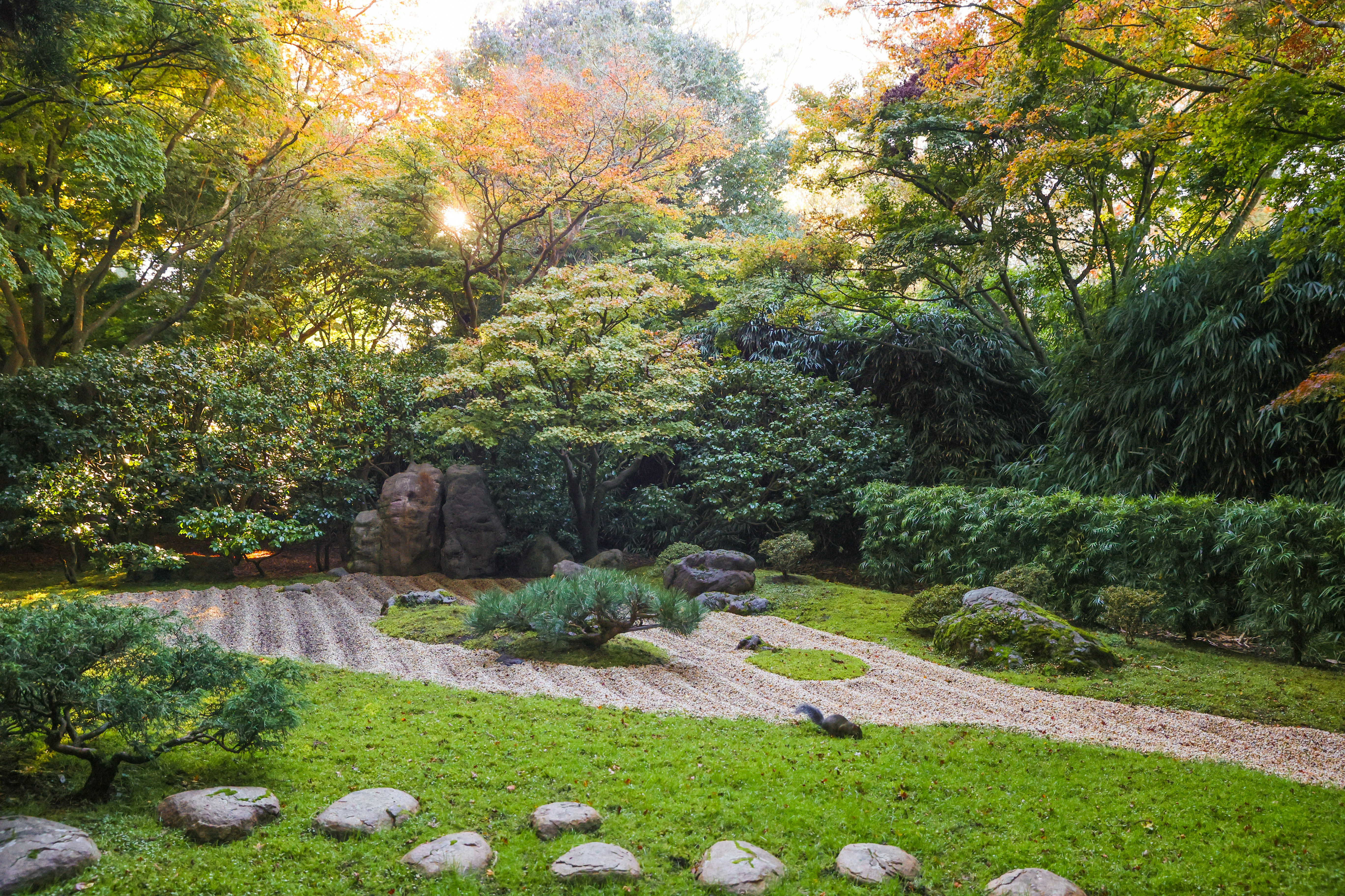 Ein Garten mit Felsen und Bäumen Foto – Kostenloses Bild zum Thema ...