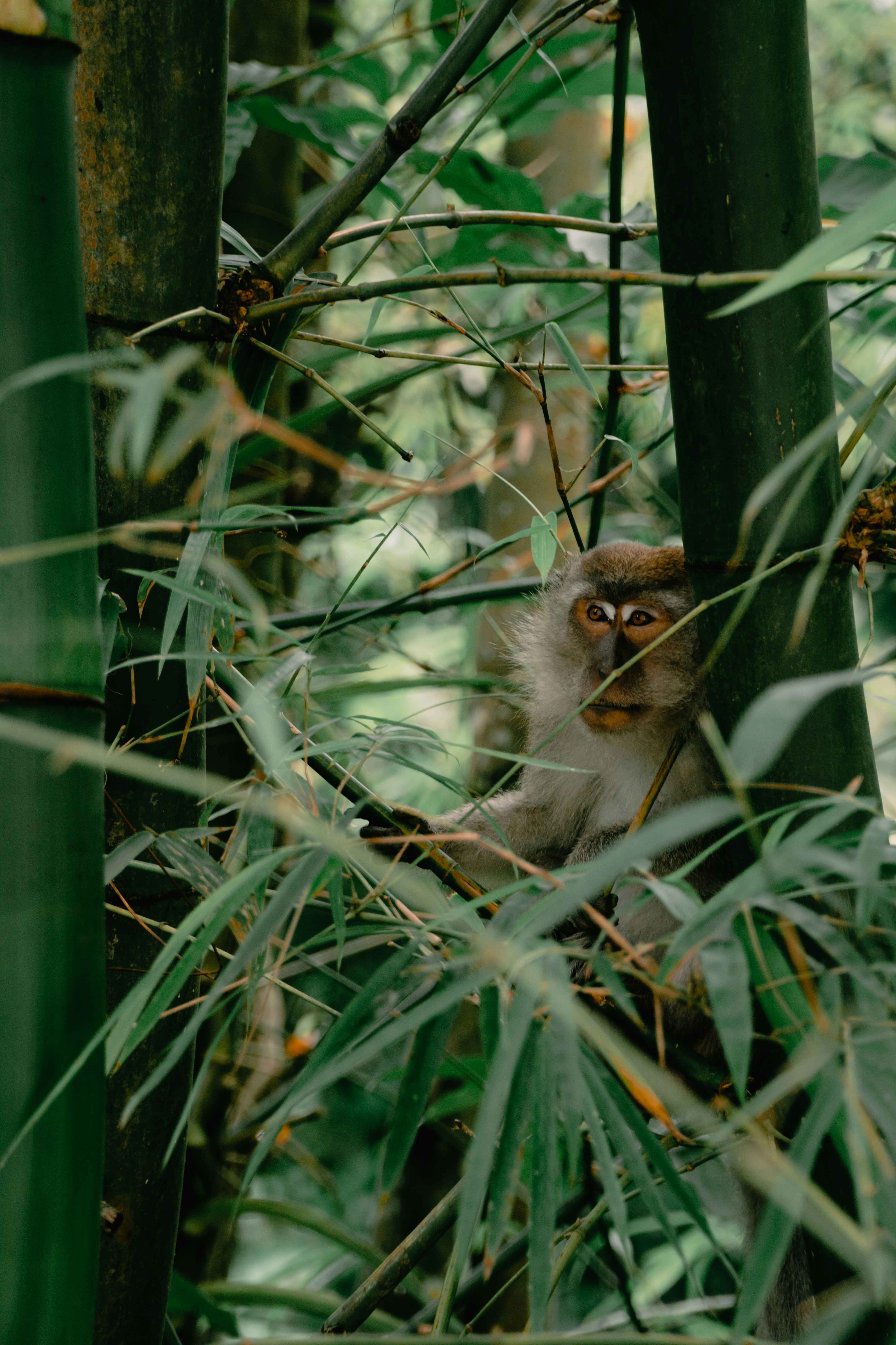 Jeremy Kwok (@jxremy) | Unsplash Photo Community