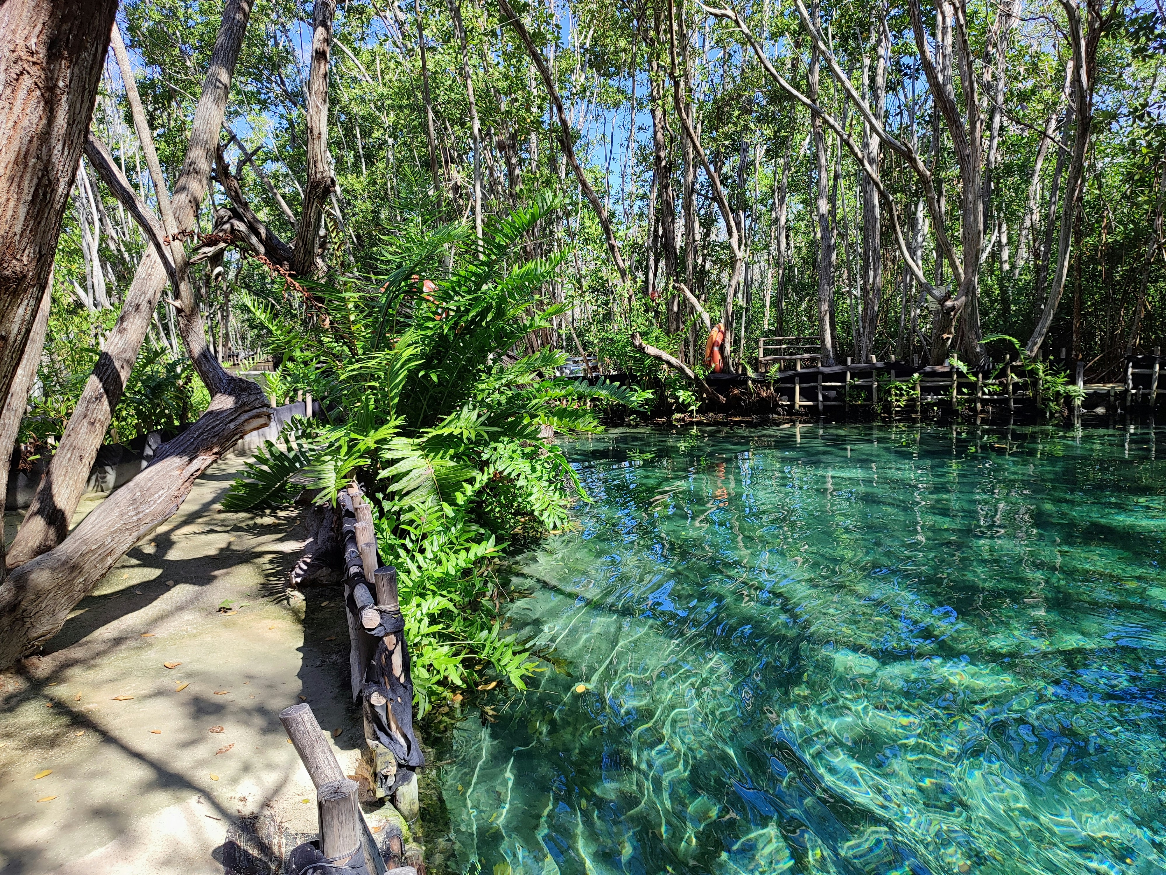 Clear turquoise water surrounded by lush mangrove trees under a bright blue sky.