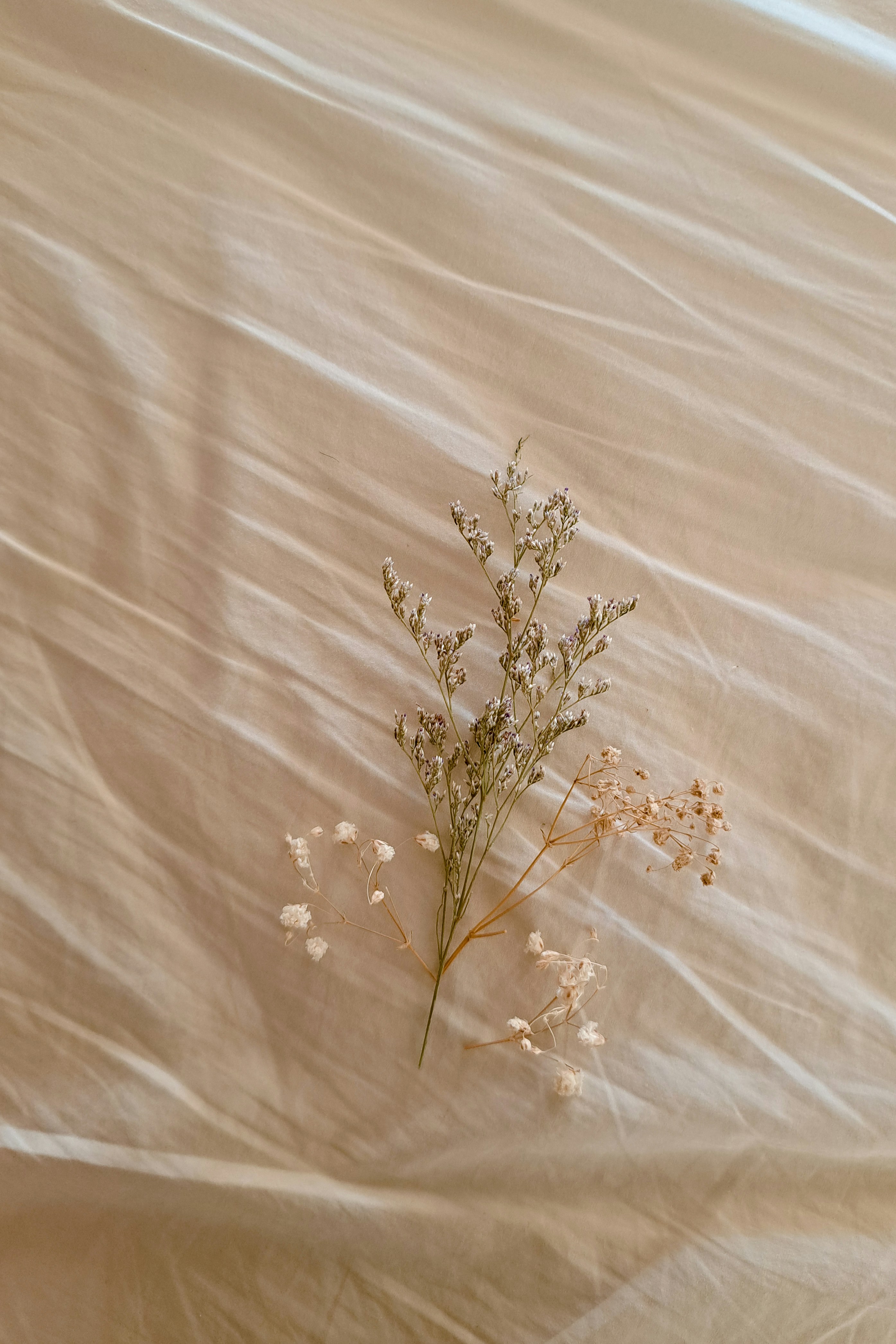 Sample photo from Samsung Galaxy A53