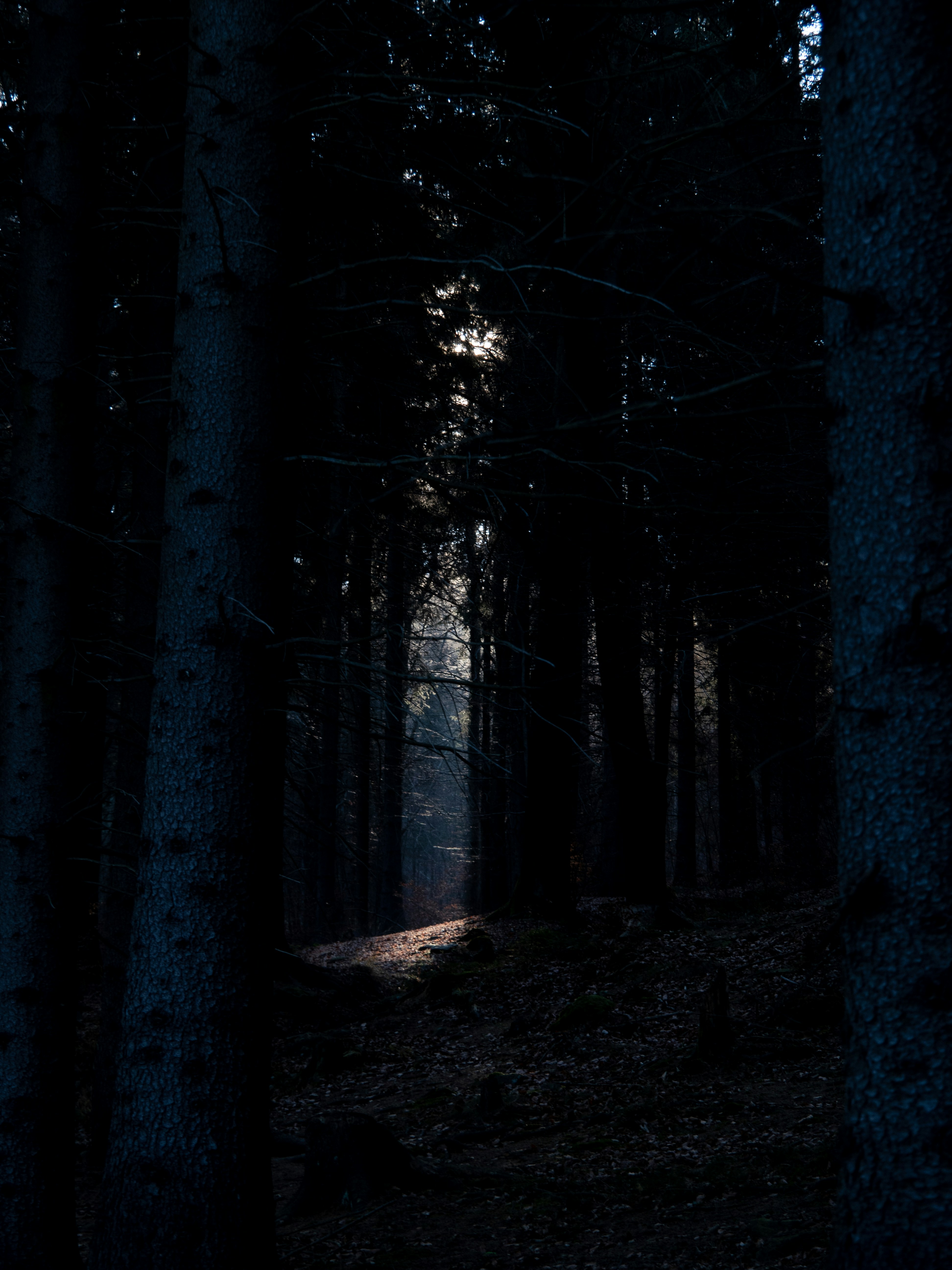 Photo by Jack Stróżewski with Olympus OM-D E-M10 Mark IV