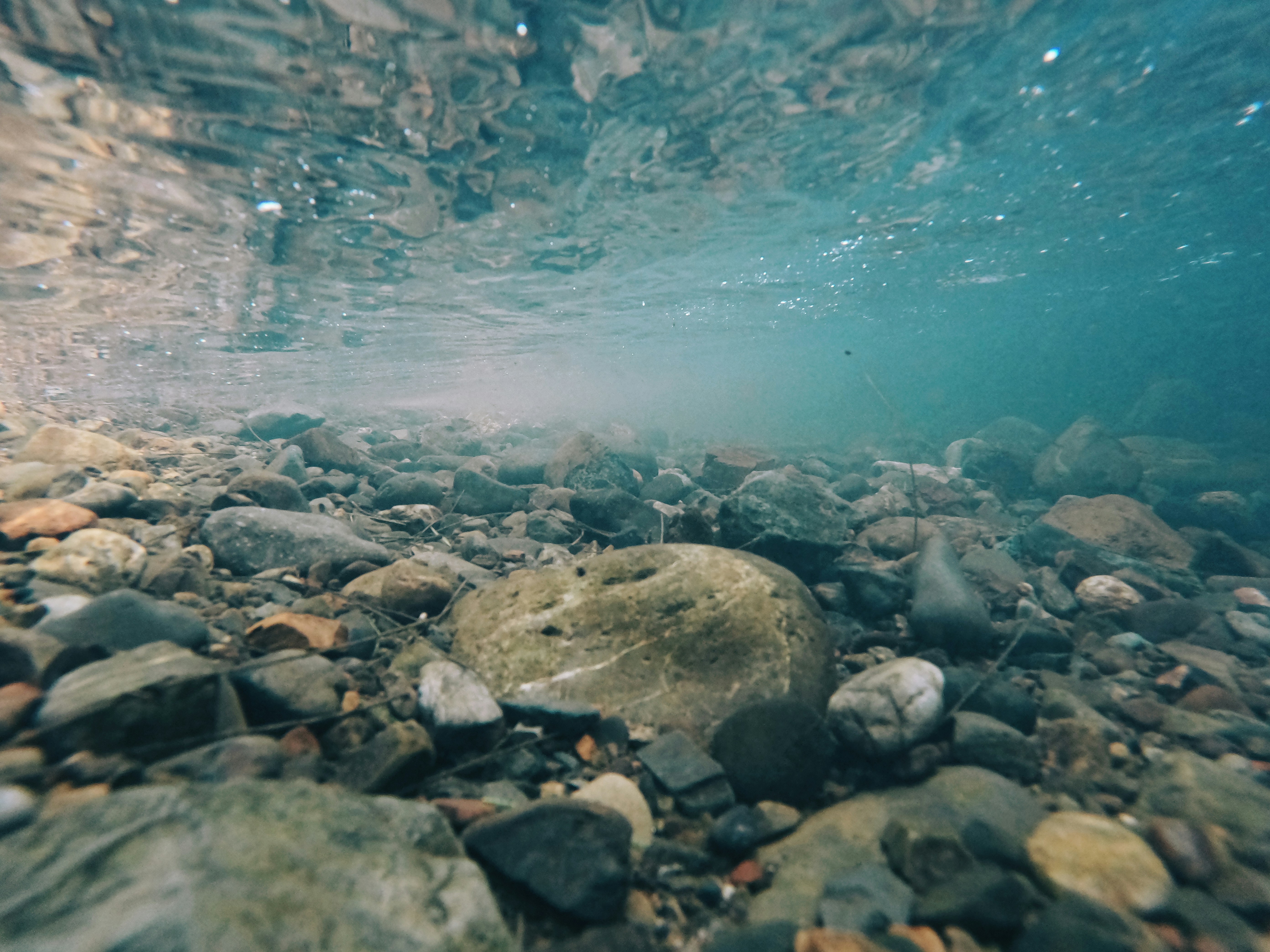 Underwater Rocks Pictures | Download Free Images on Unsplash
