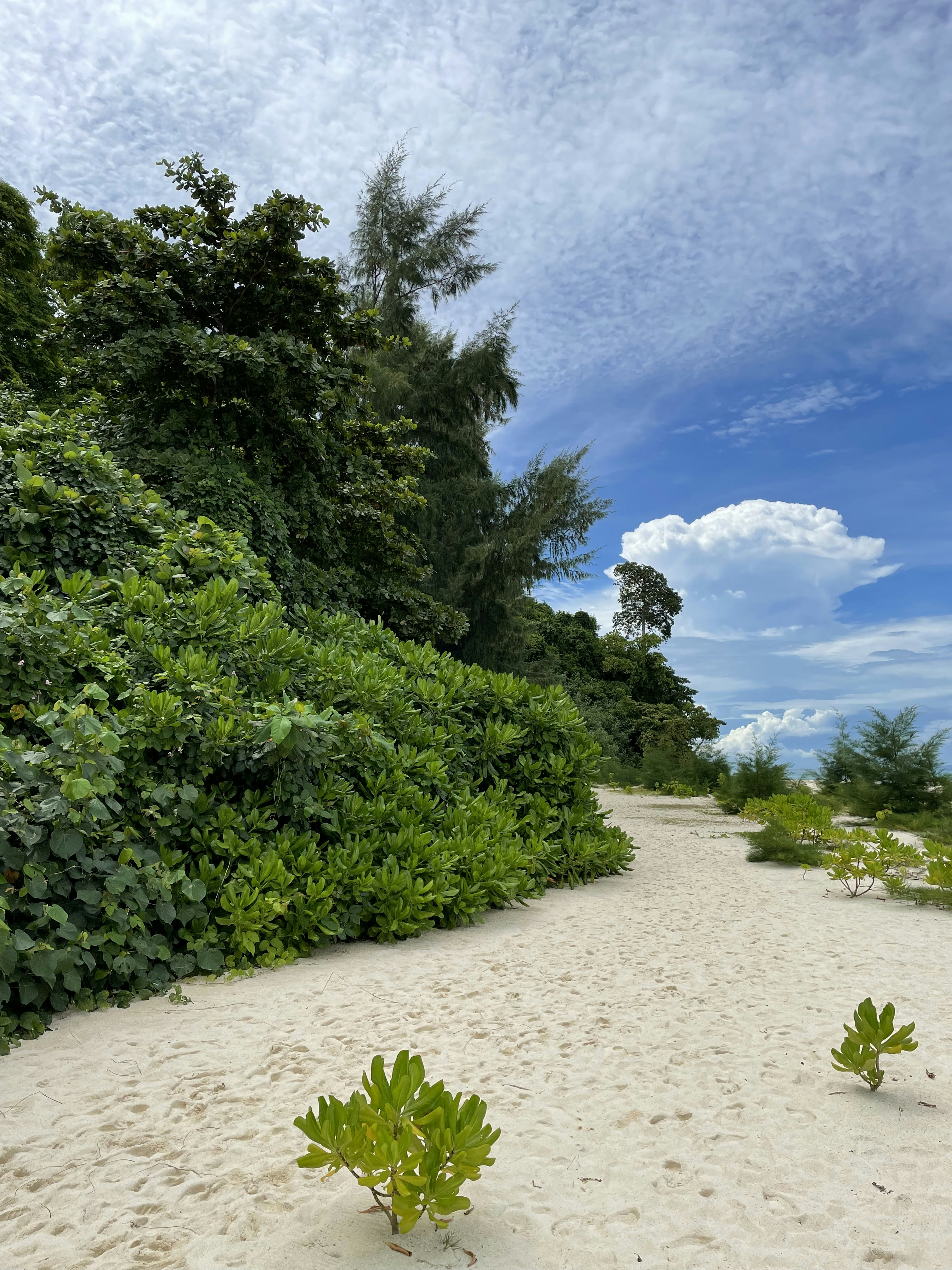 Photo by Anton Pavlov with Apple iPhone 12