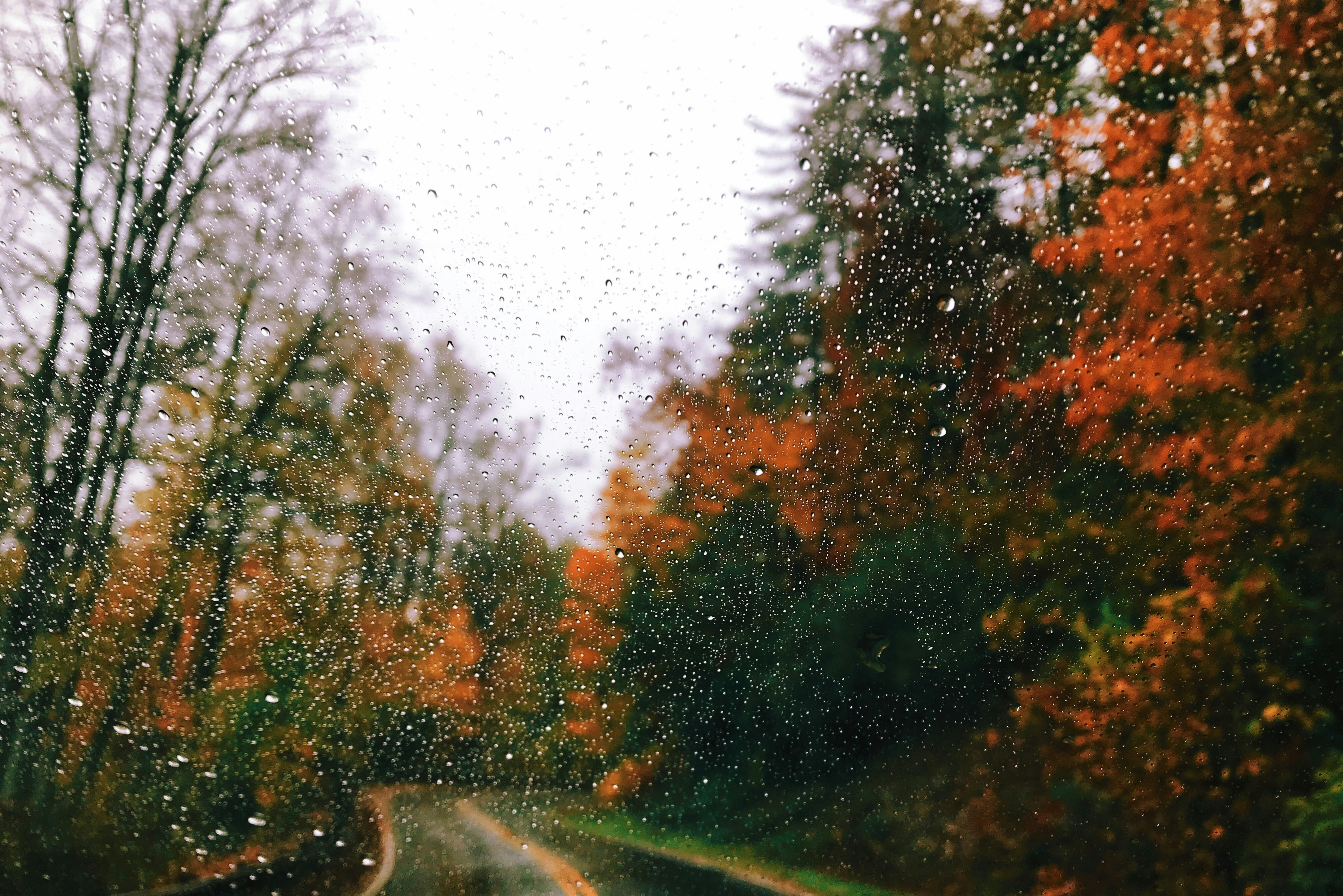 Raindrops on a windshield blur a tree-lined road with vibrant autumn foliage.