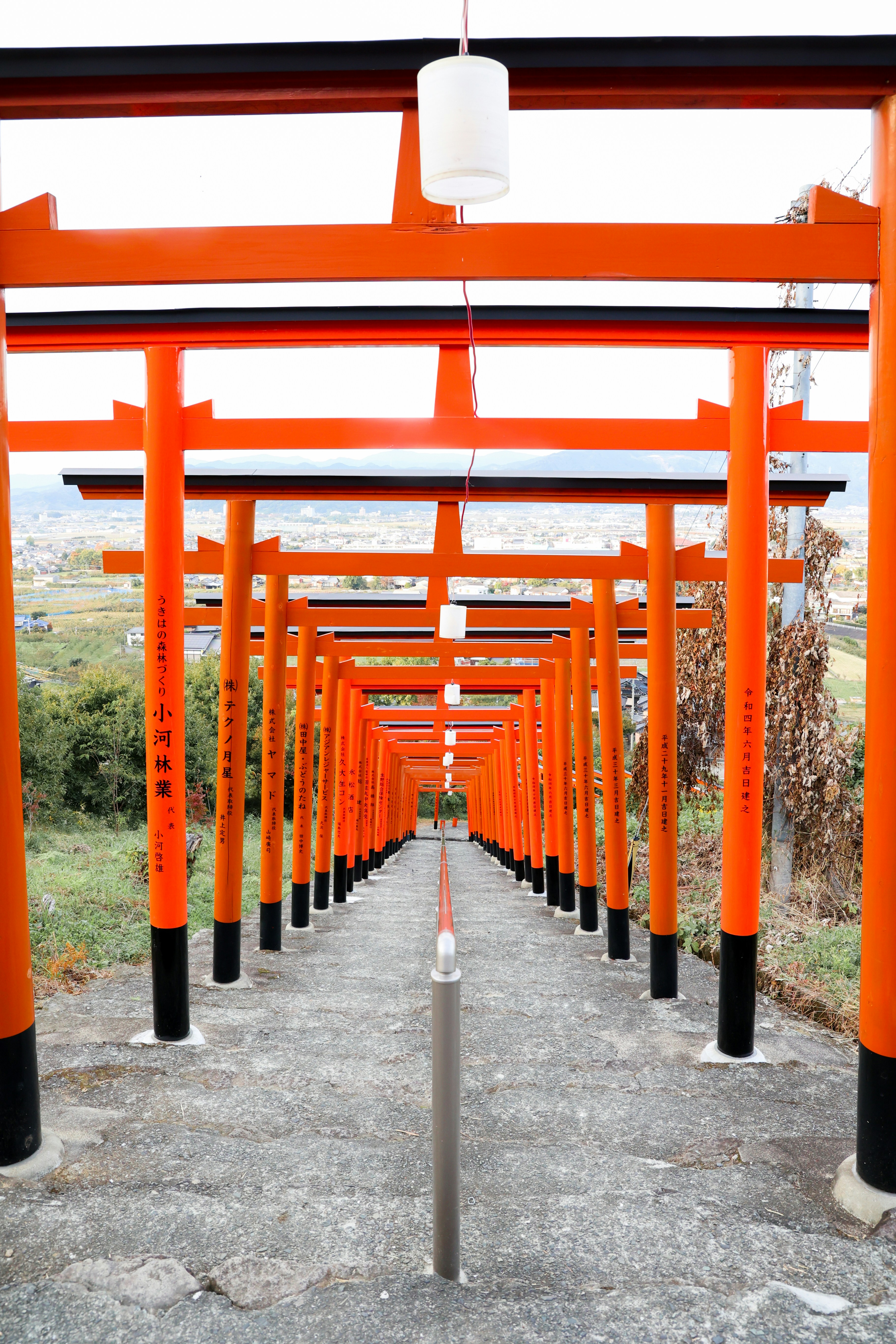 A row of orange poles with Fushimi Inari-taisha in the background photo ...