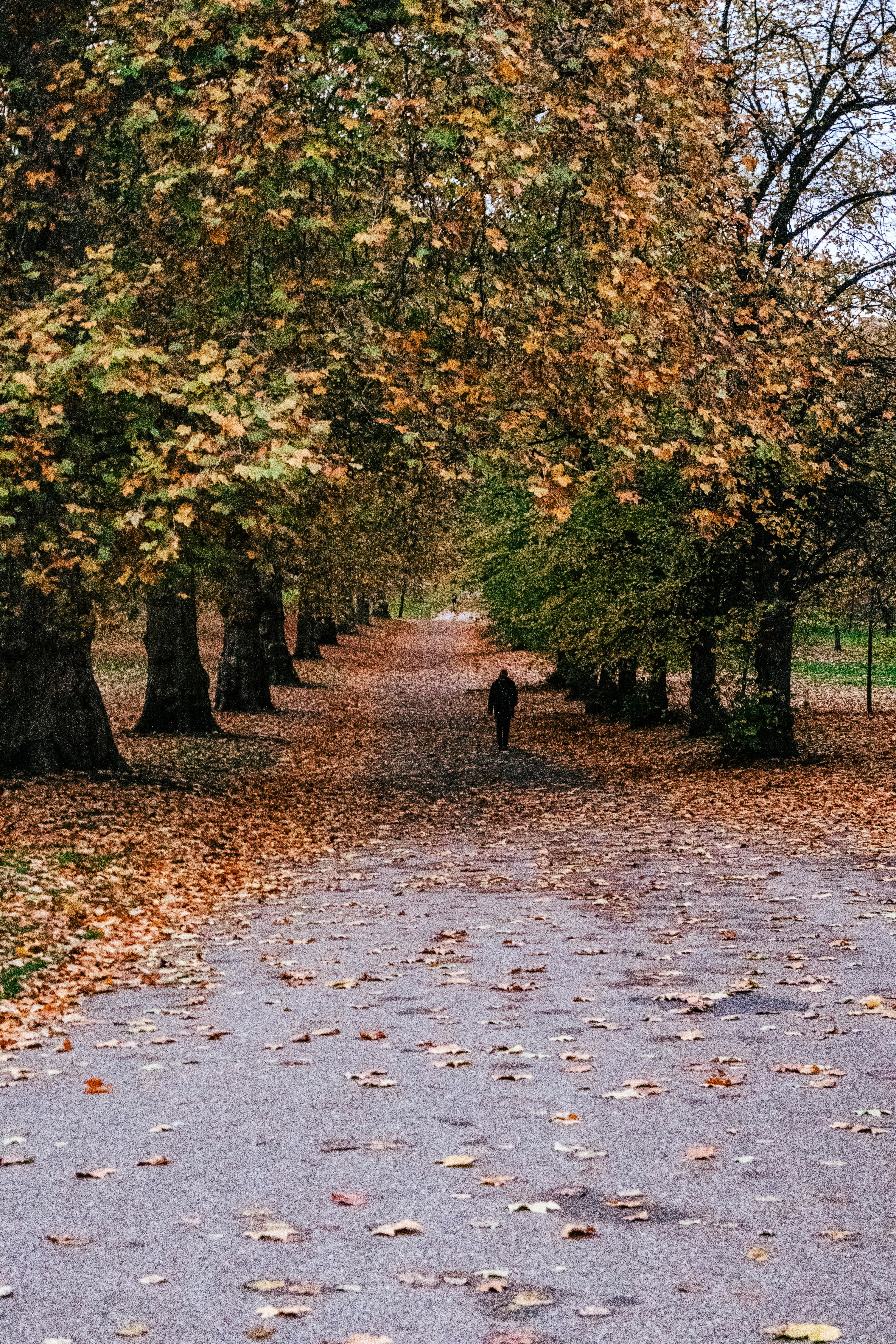 Photo by Samuel Regan-Asante with Fujifilm X-T30