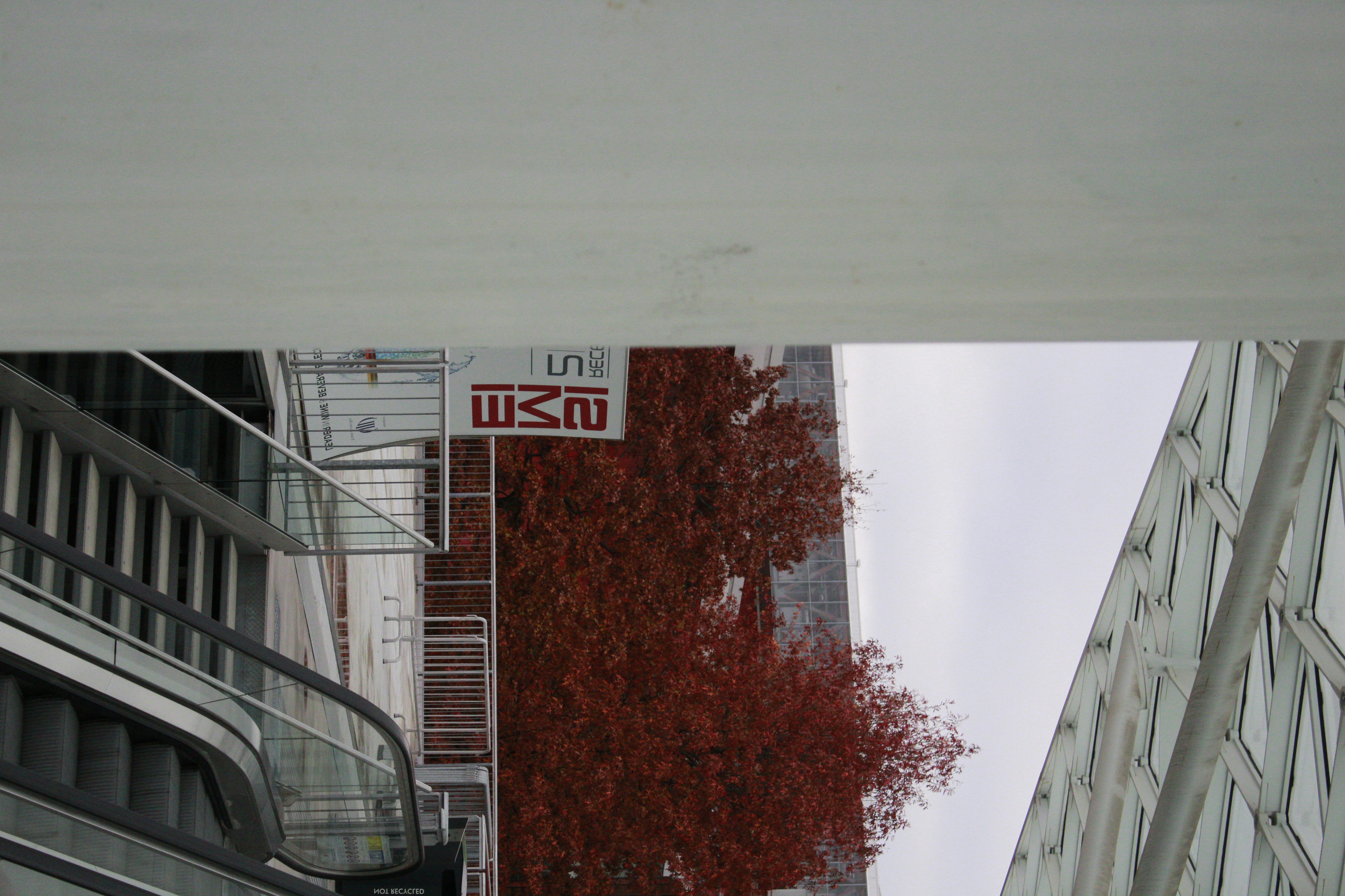 Urban Transition: A Journey Through Color and Structure