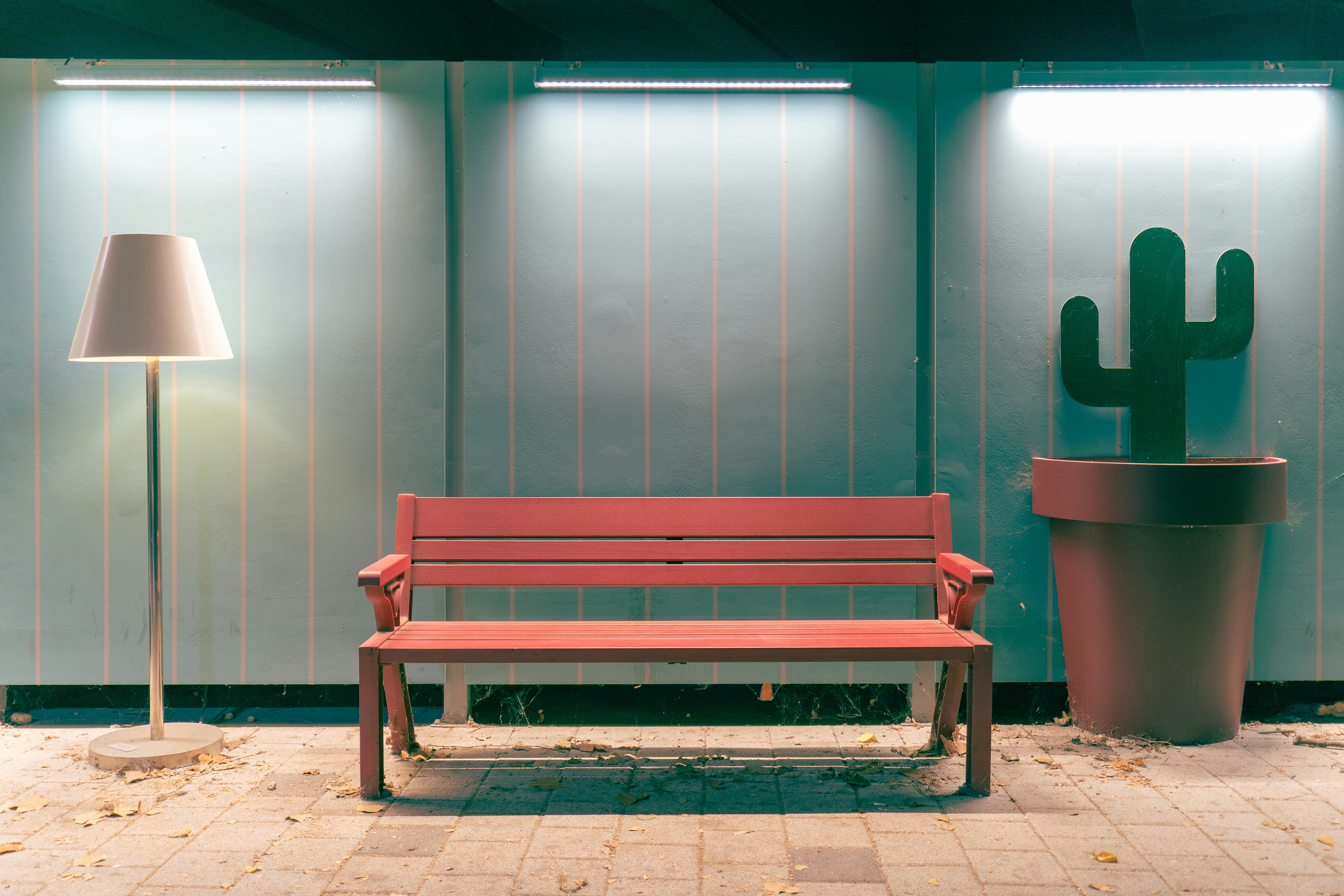 Teal Backdrop, Red Bench, and Desert Accent: A Quiet Urban Nook
