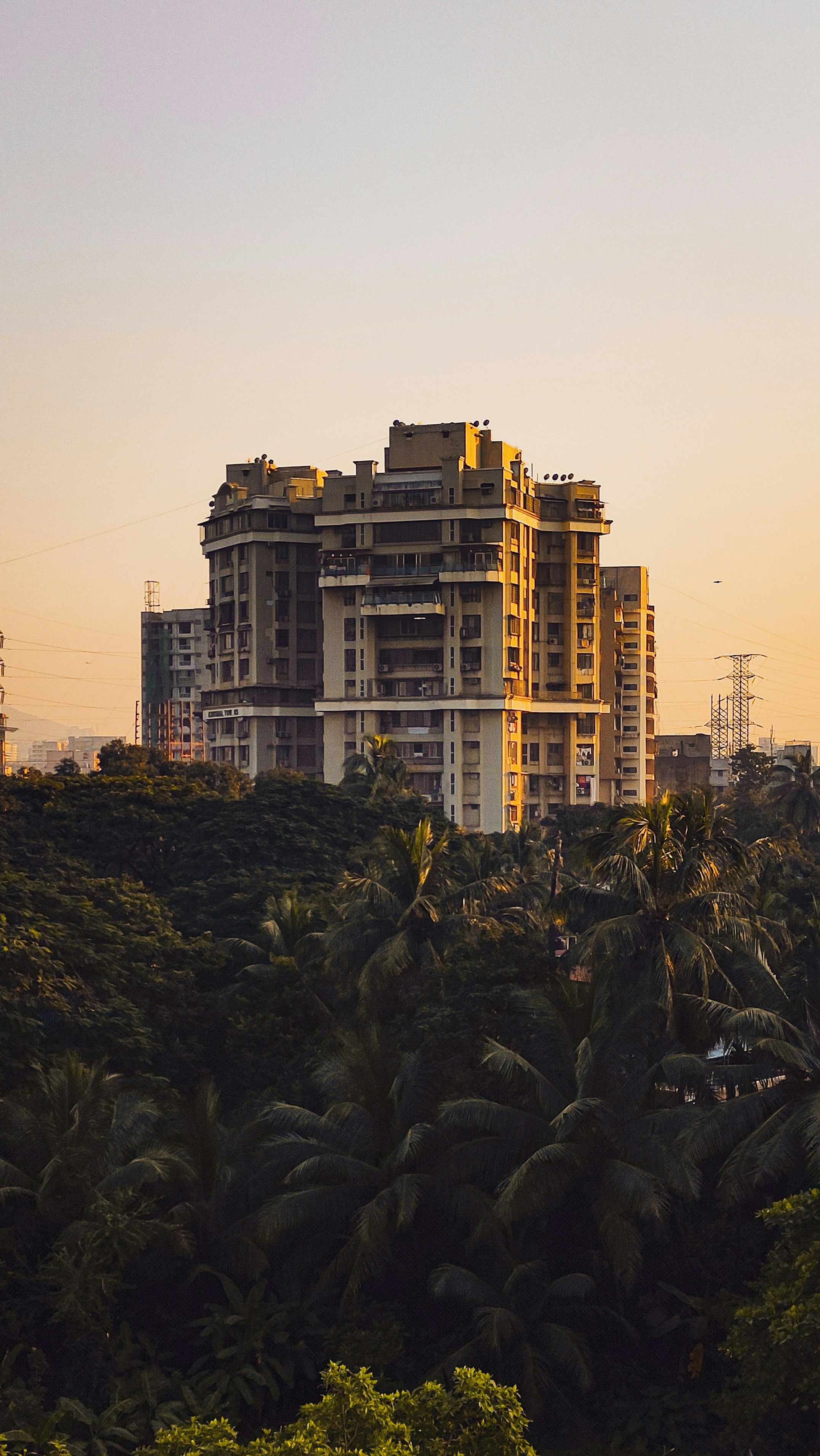 Towering Calm: Coral Horizon Above the Greens