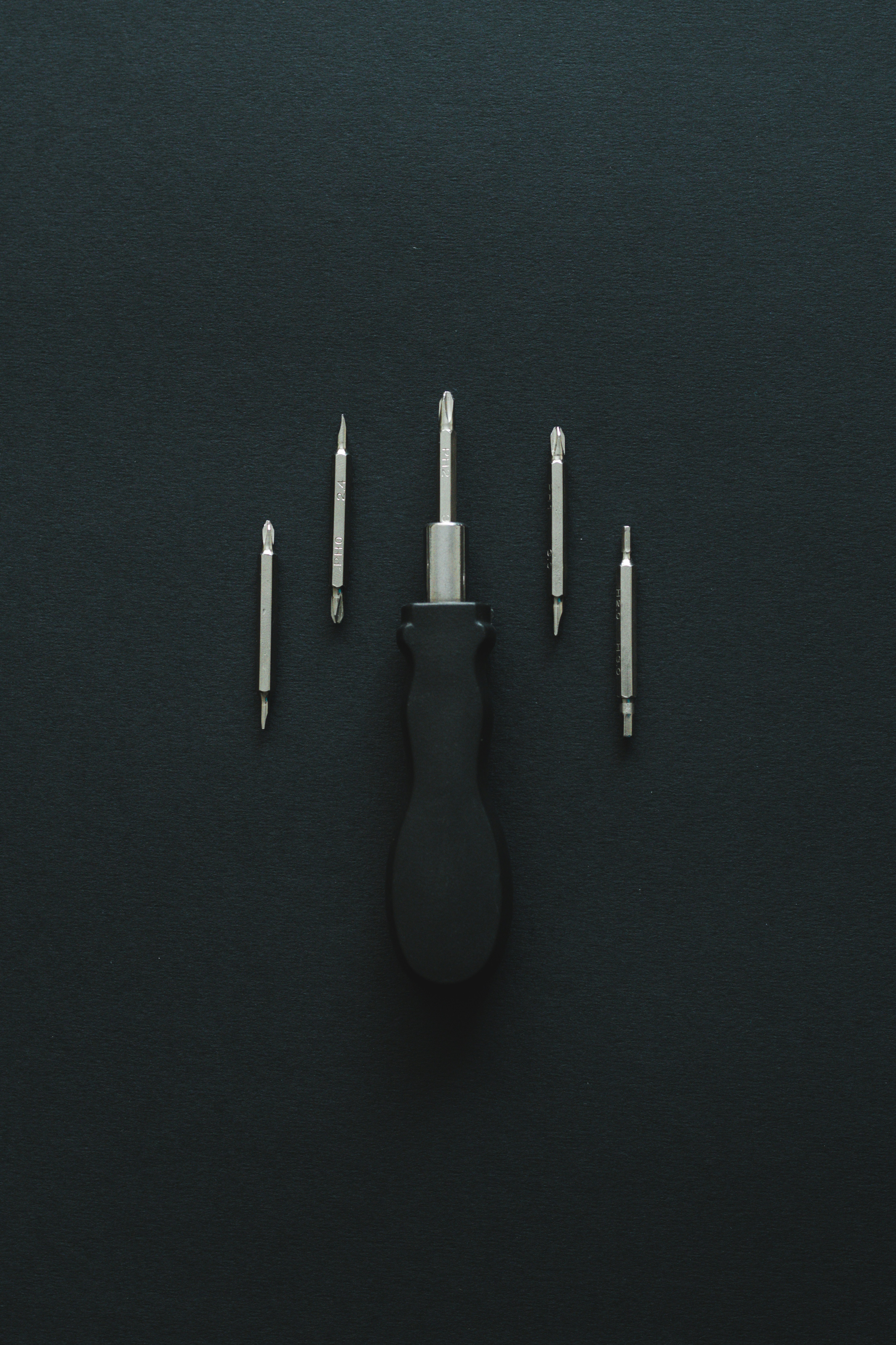 Photo by Behnam Norouzi with Canon EOS R