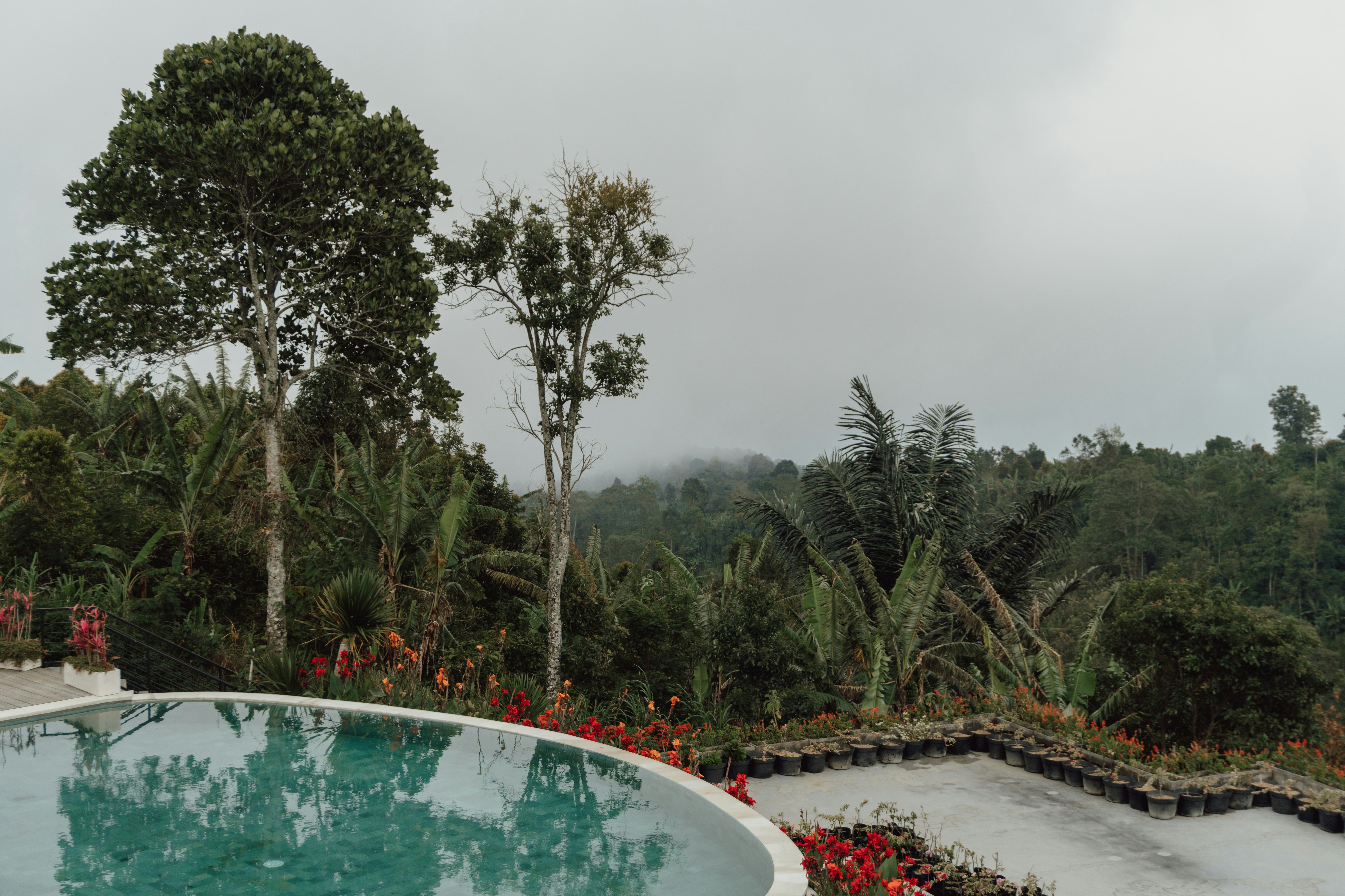 A pool surrounded by trees photo – Free Bali Image on Unsplash