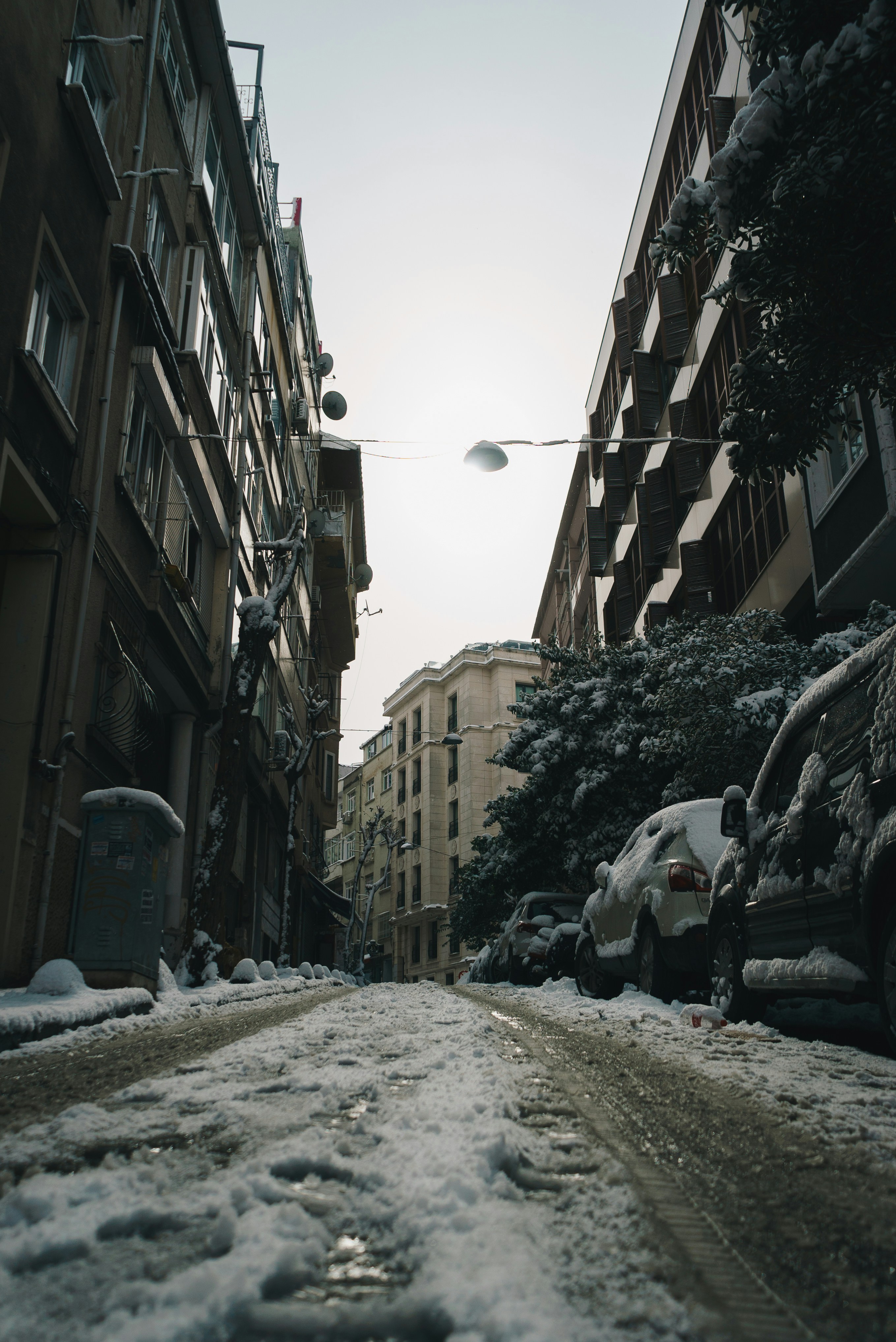 Snow-Covered Canyon: A Narrow Urban Alley Lined with Frosted Cars