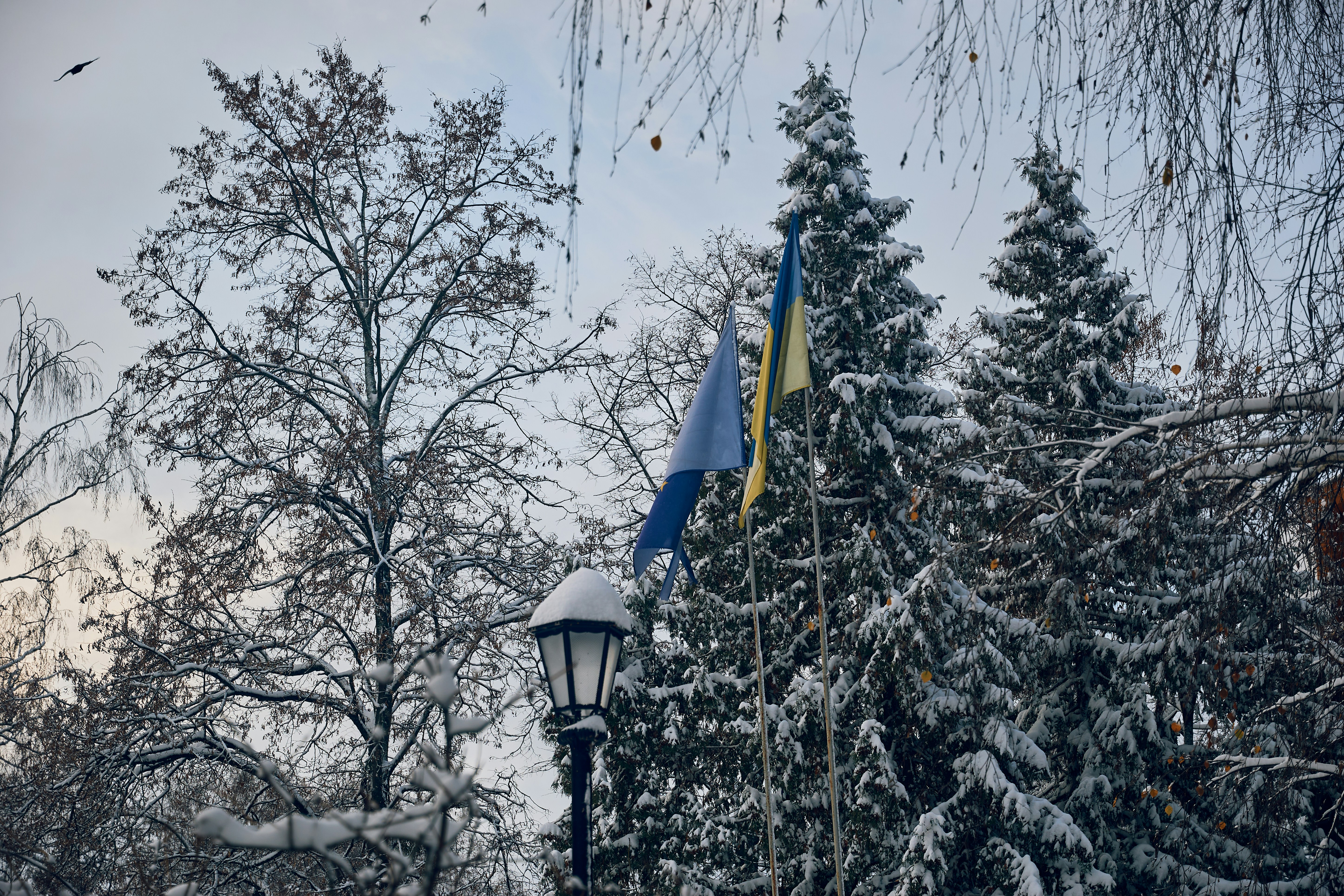 A flag on a pole in the snow photo – Free Winter Image on Unsplash