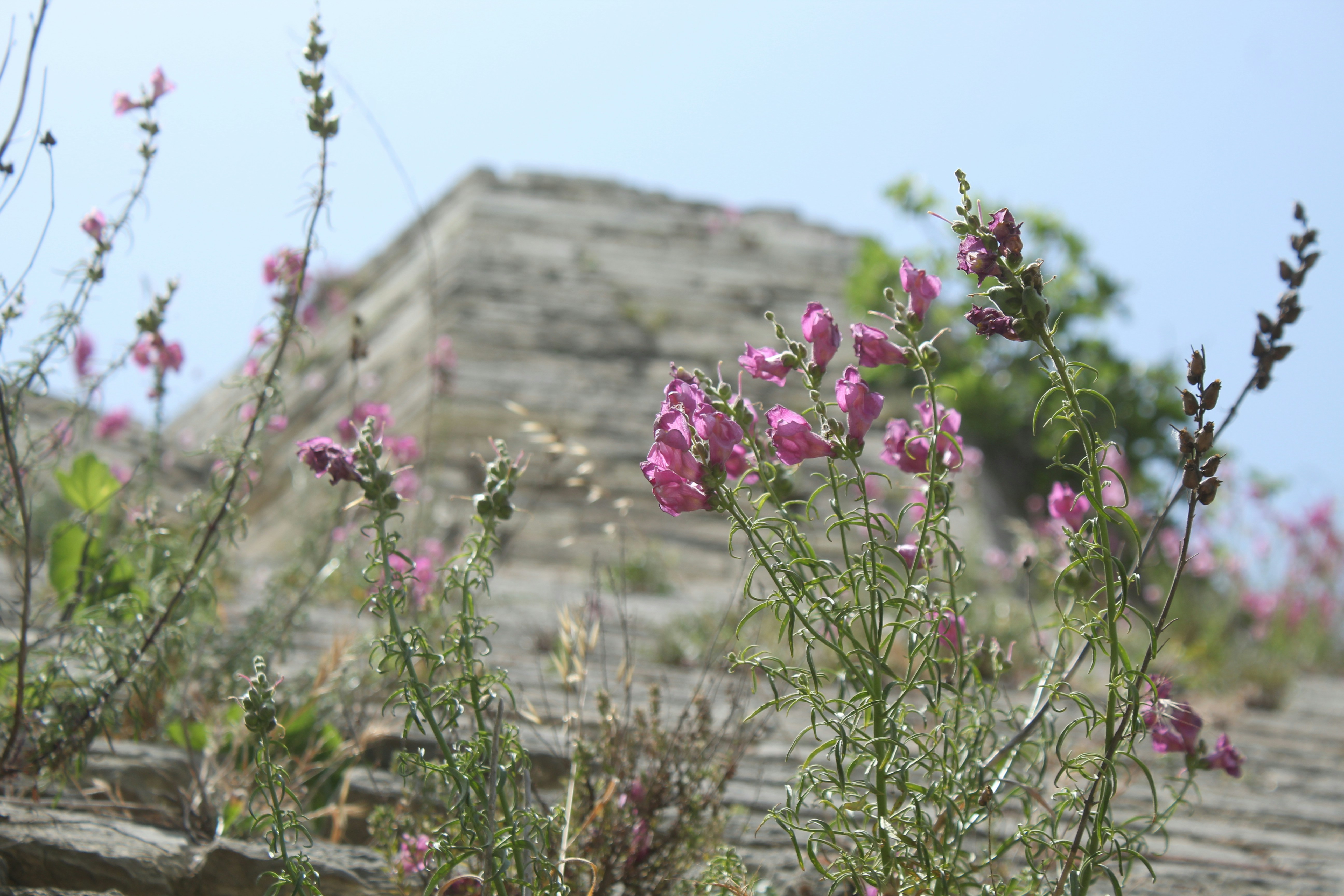 Captured on 04.06.2022