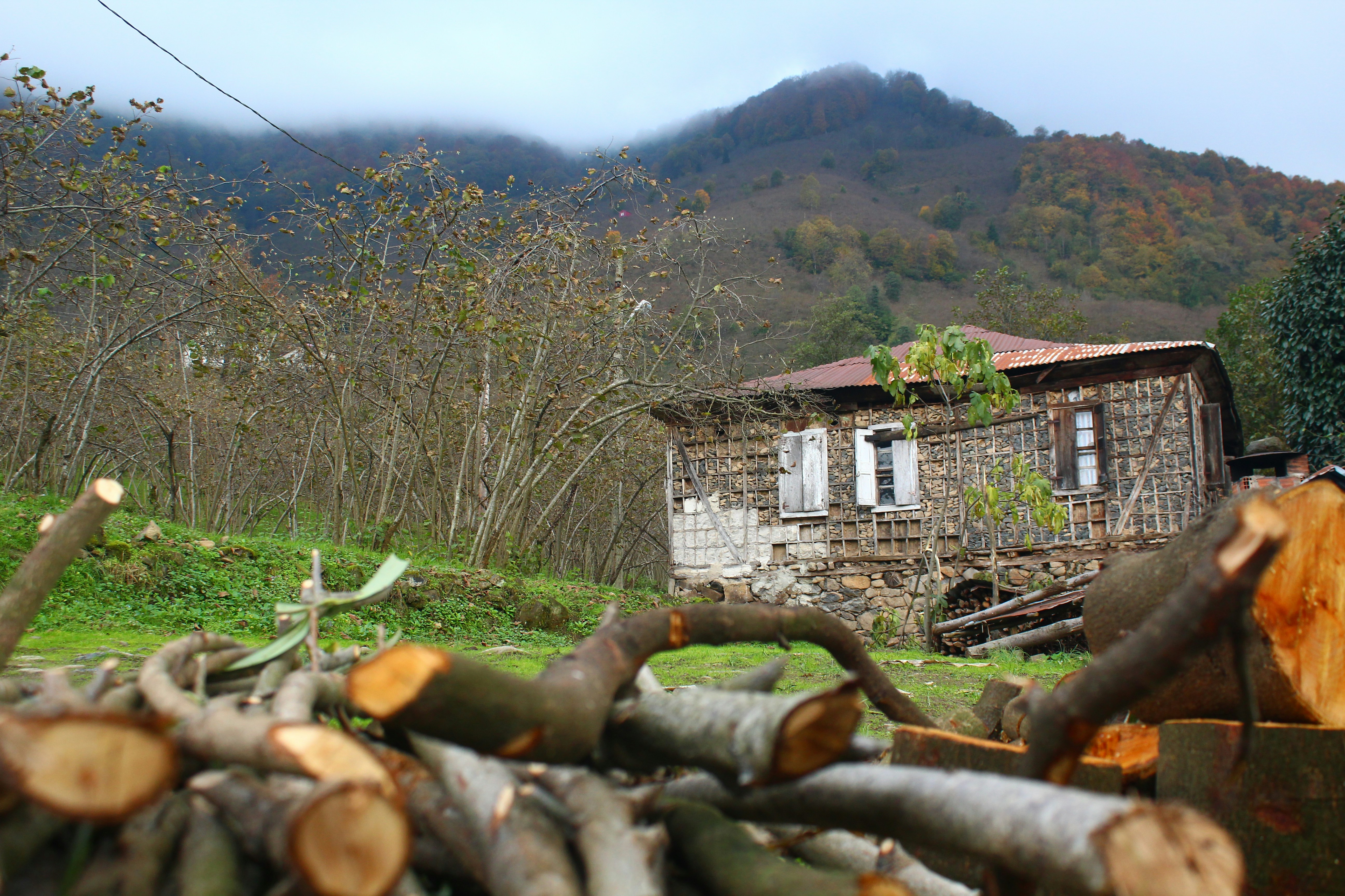 Rustic Retreat Under Misty Mountains