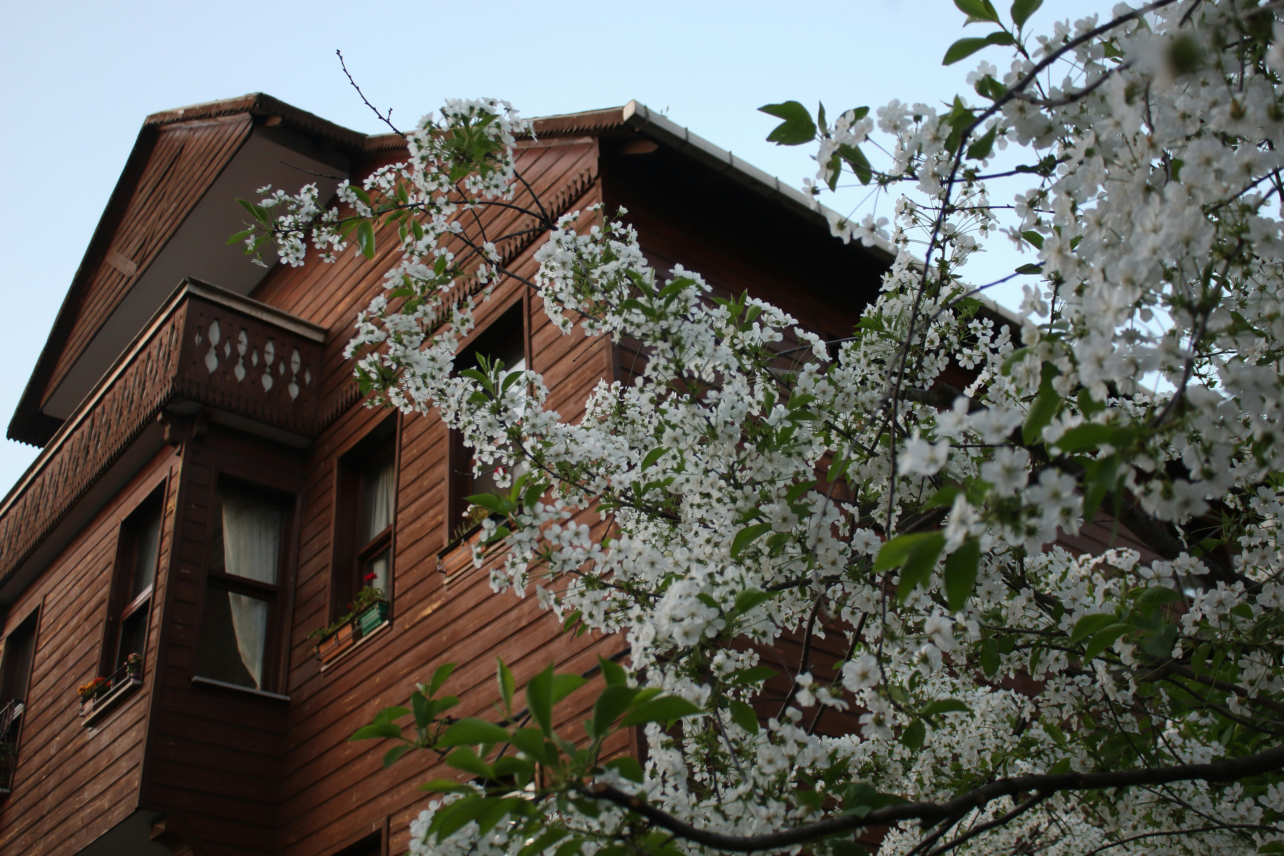 Captured on 26.04.2022