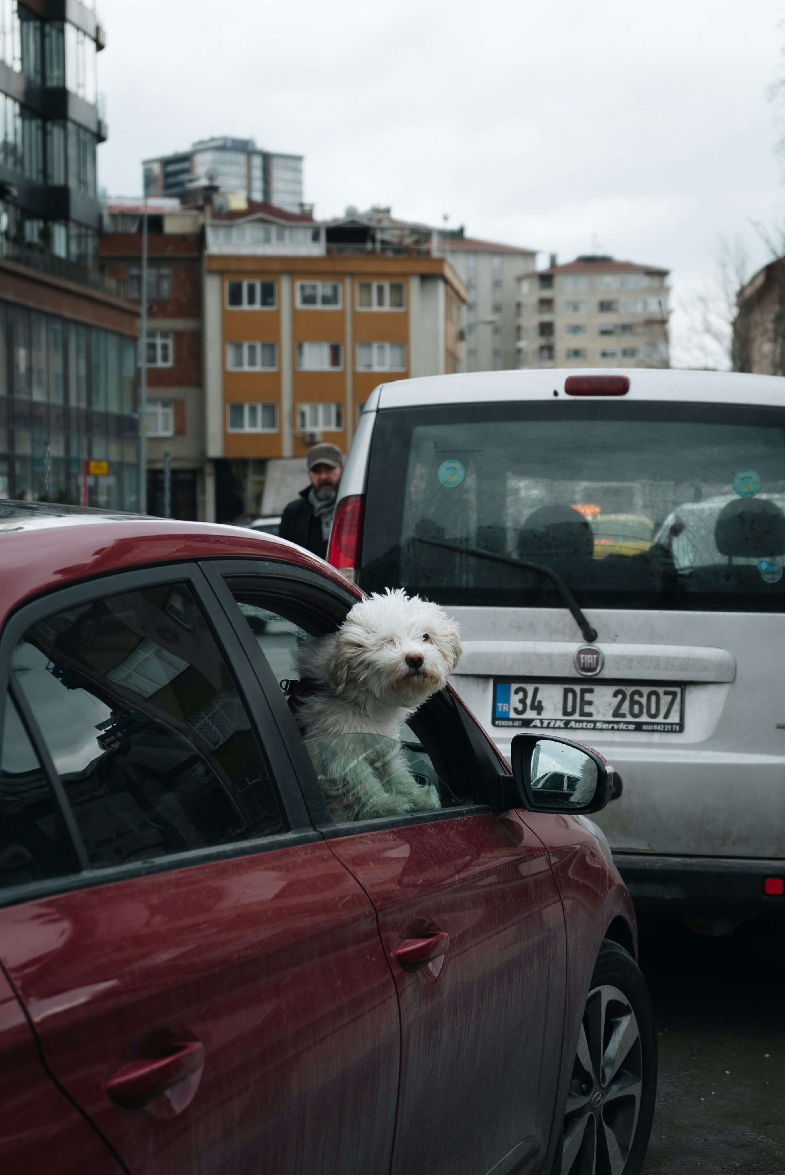 Photo by Nick Night with Sony Alpha 7S