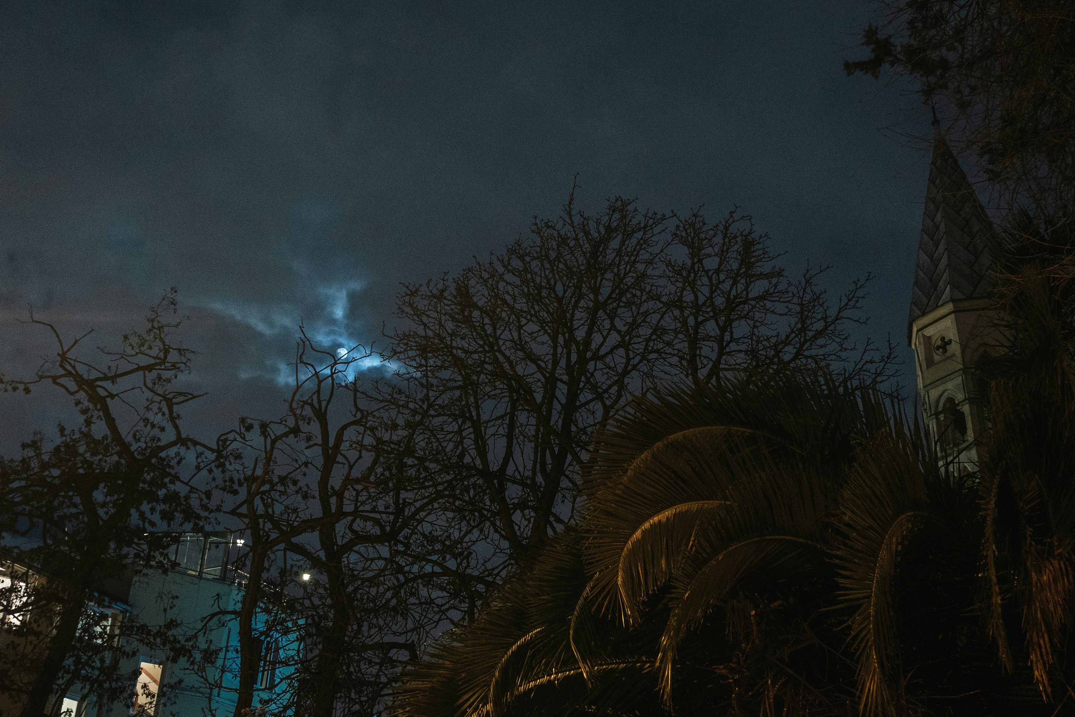Blue-Glow Nightscape Over Silhouetted Trees and City Spires