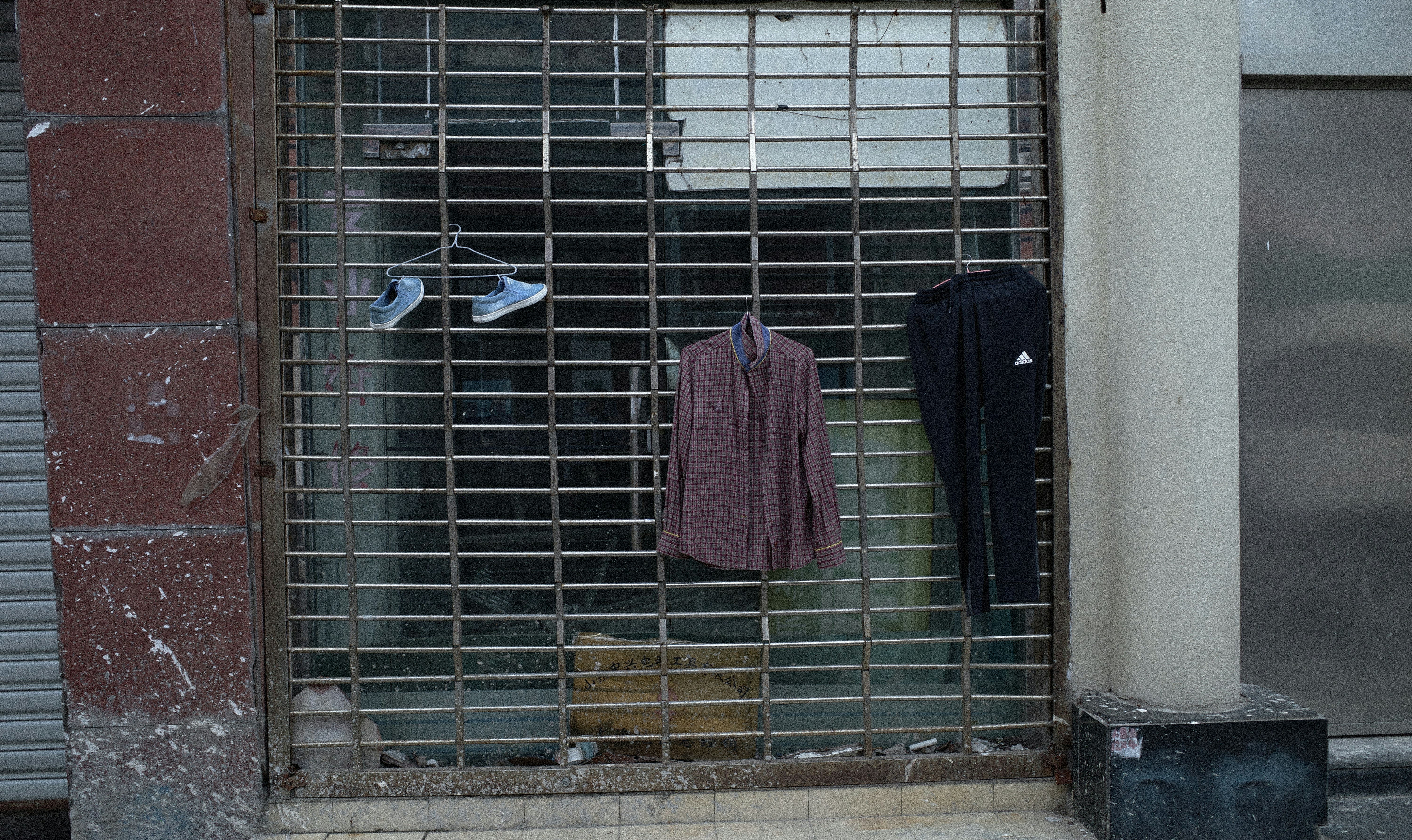 I dreamt of a starving monkey who found an onion on a small rocky slope that had collapsed. The monkey was so anxious that he grabbed it and peeled it, tearing it to the ground one layer at a time, until finally, the onion was helpless, not knowing how to let the monkey know that these were not skins, and that they could all be eaten in case of hunger".