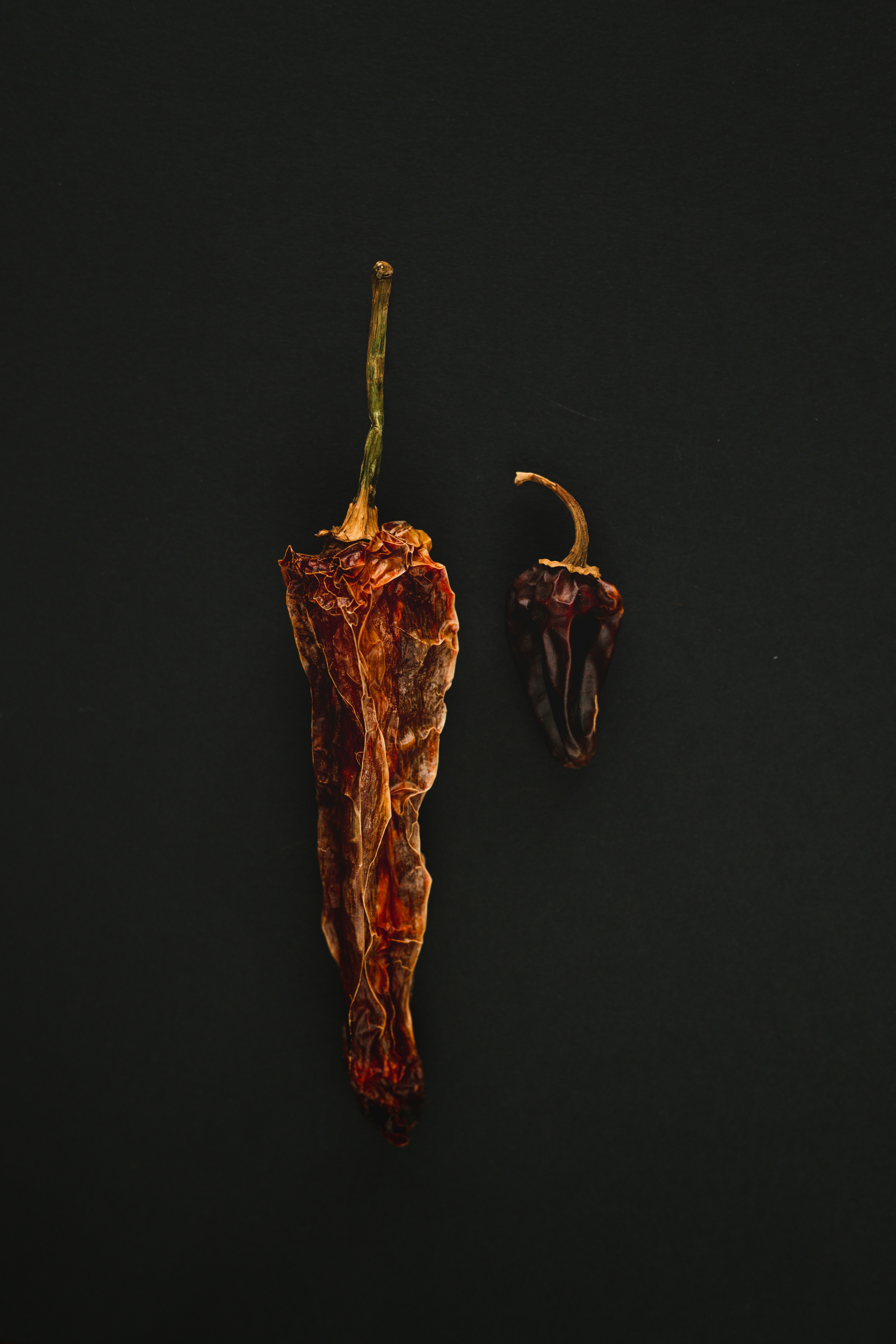 a few pieces of meat