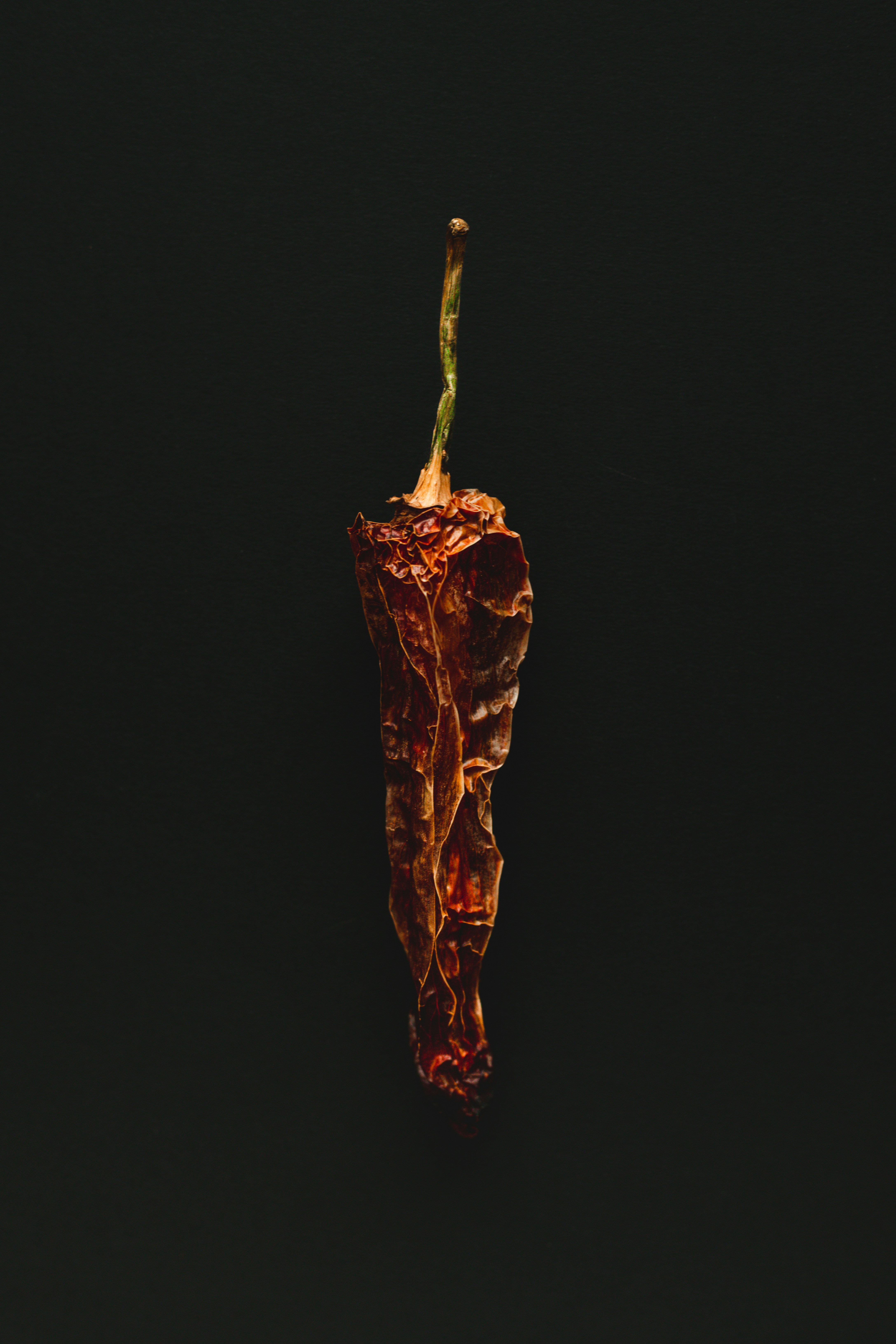 Midnight Silhouette: A Solitary Dried Chili on Obsidian Backdrop