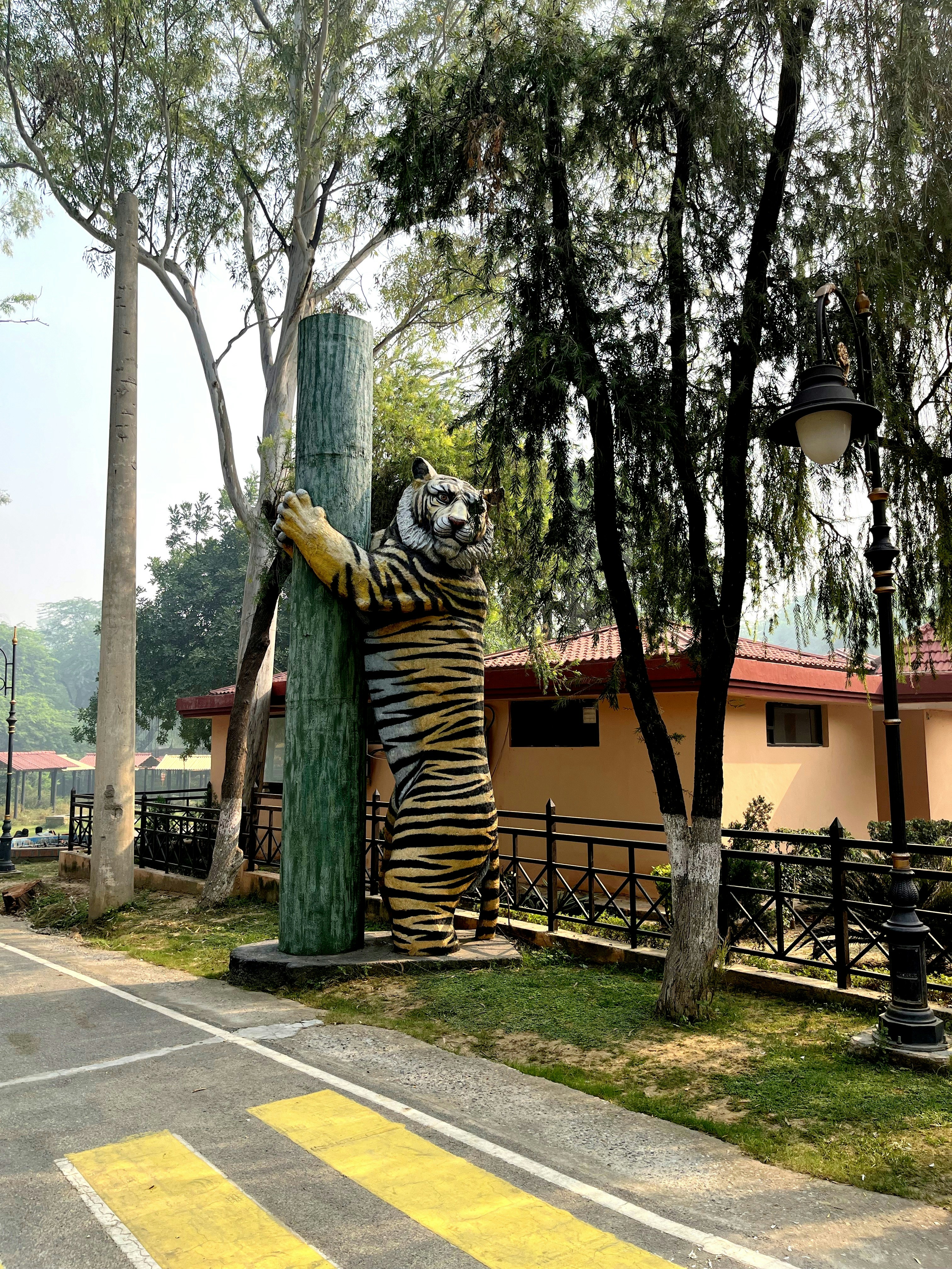 Guardian of the Green: A Tiger's Embrace