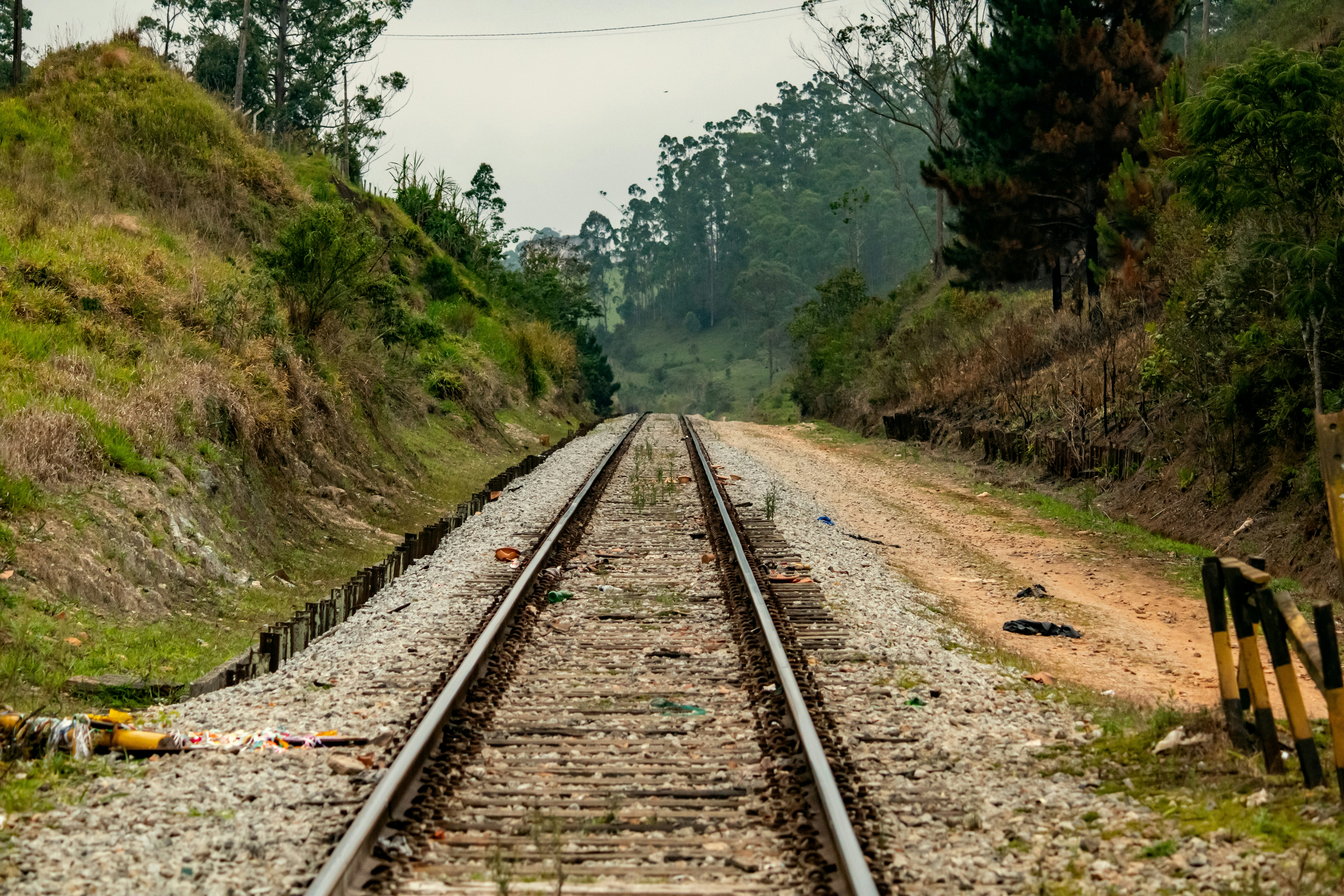 Journey Through the Forgotten Tracks