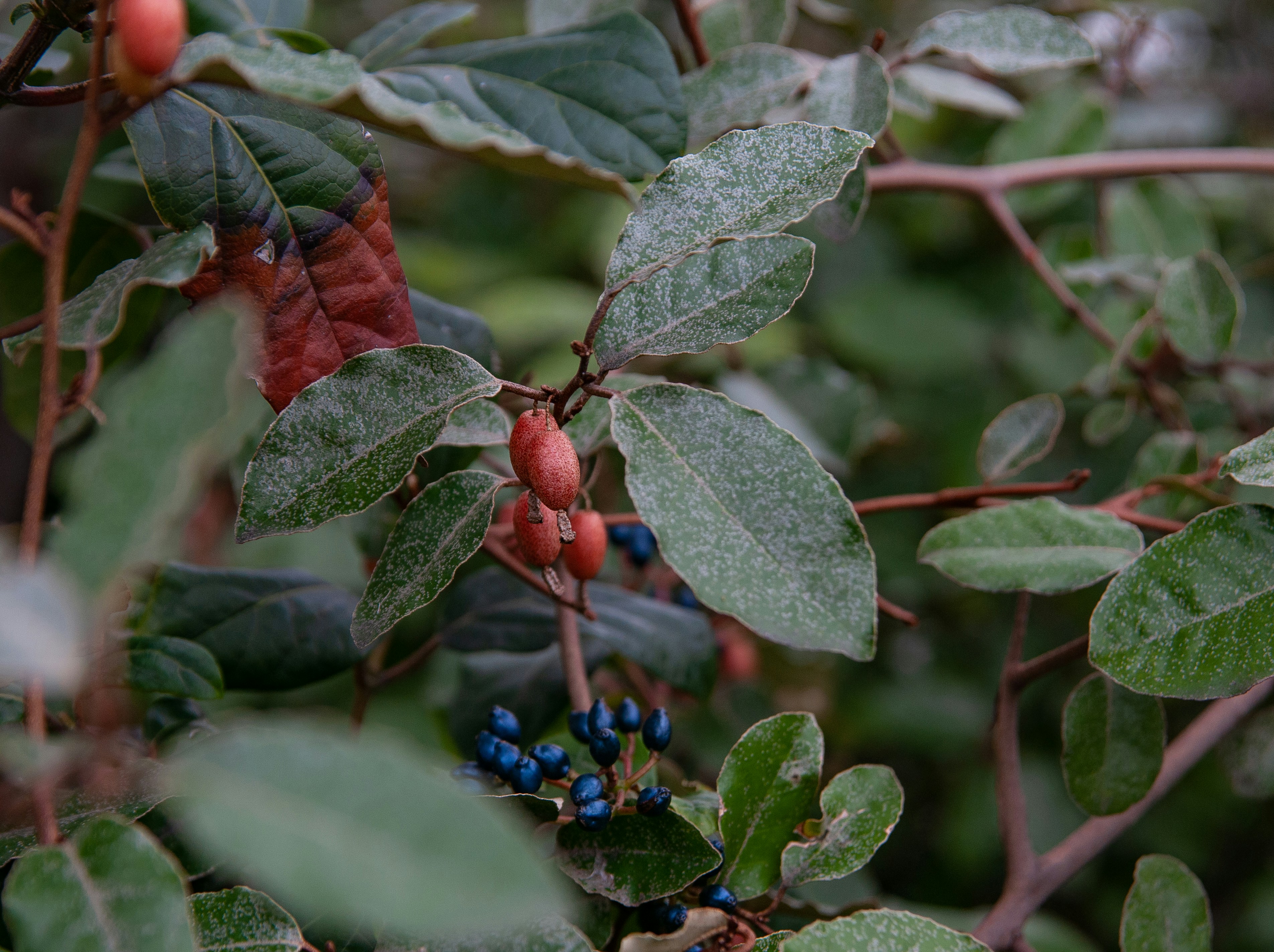 Photo by Natalia Gusakova with Nikon D300S
