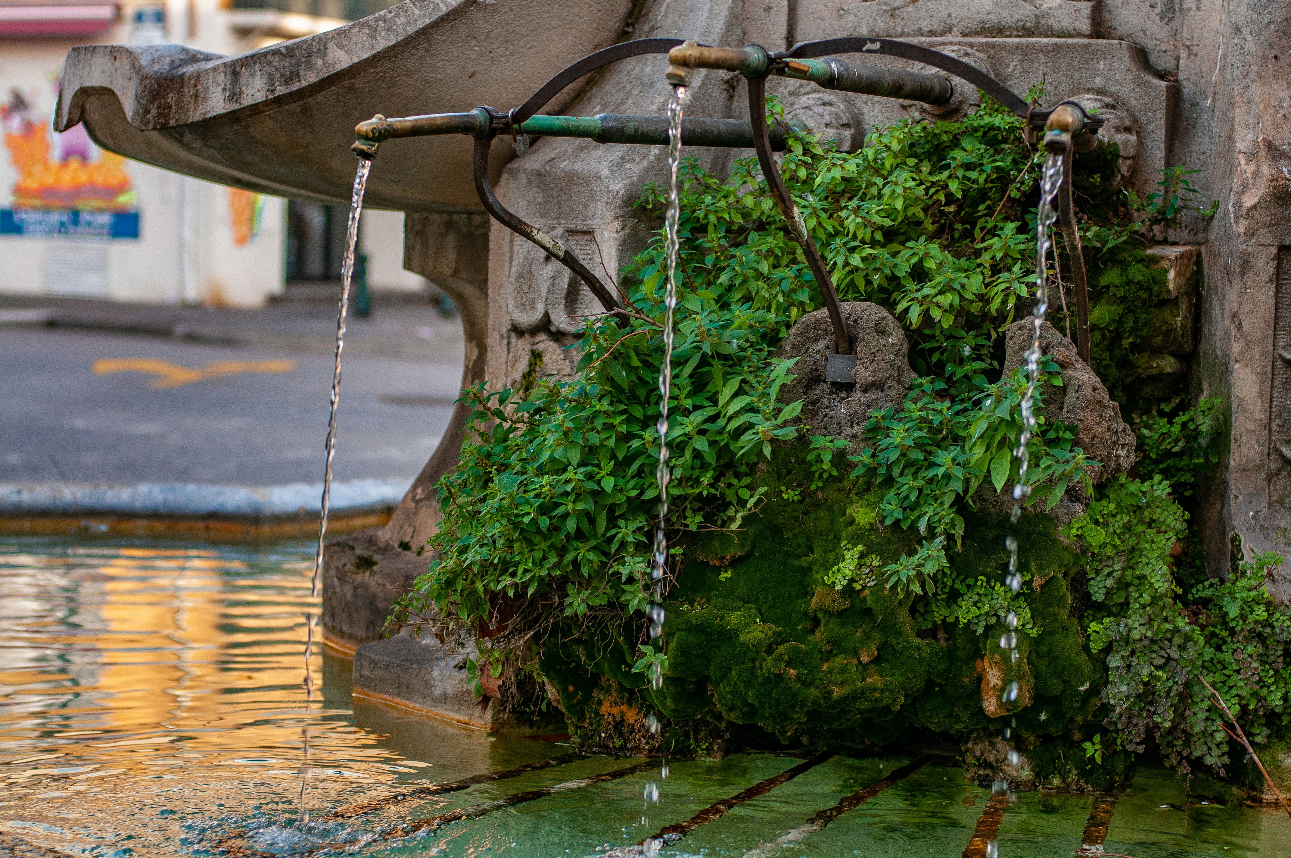 Verdant Fountainscape: Moss, Water, and a Silent Street