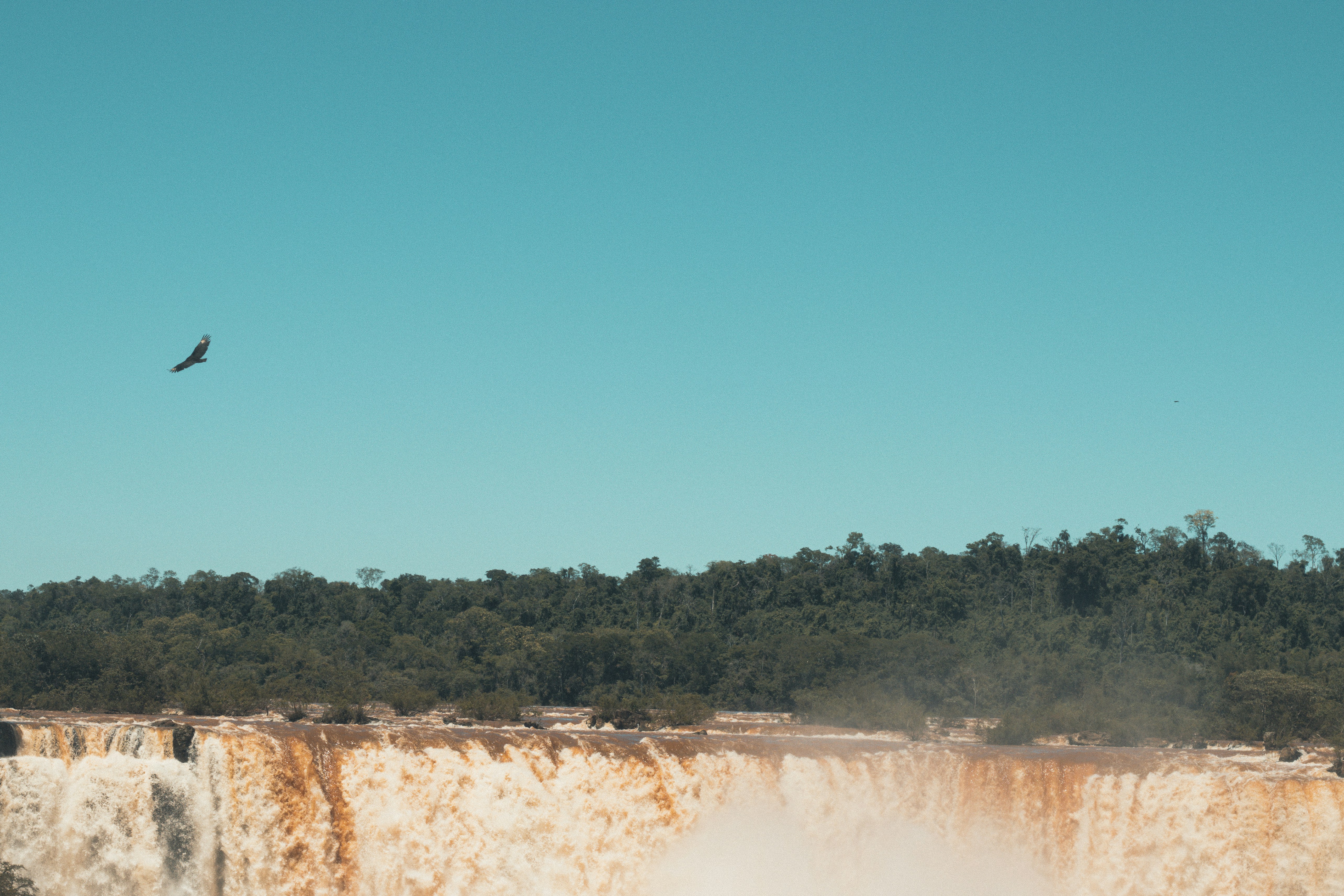 Golden Veil Over the Falls: A Lone Bird Skims the Sky