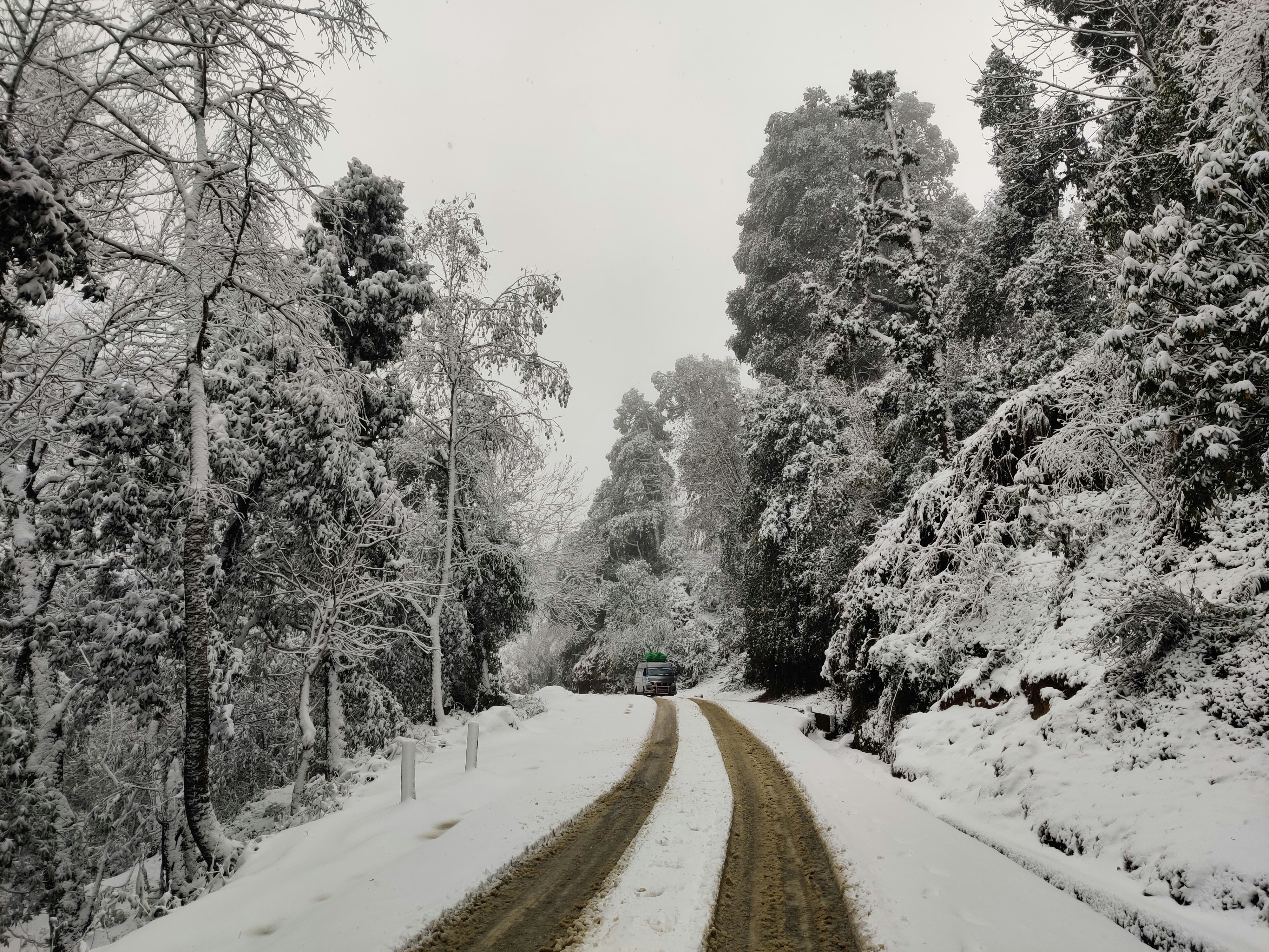 Snow-covered road winding through a forest, with frost-laden trees on both sides and a faint glimpse of the distant horizon; a monochrome winter scene emphasizing quiet, untouched nature.