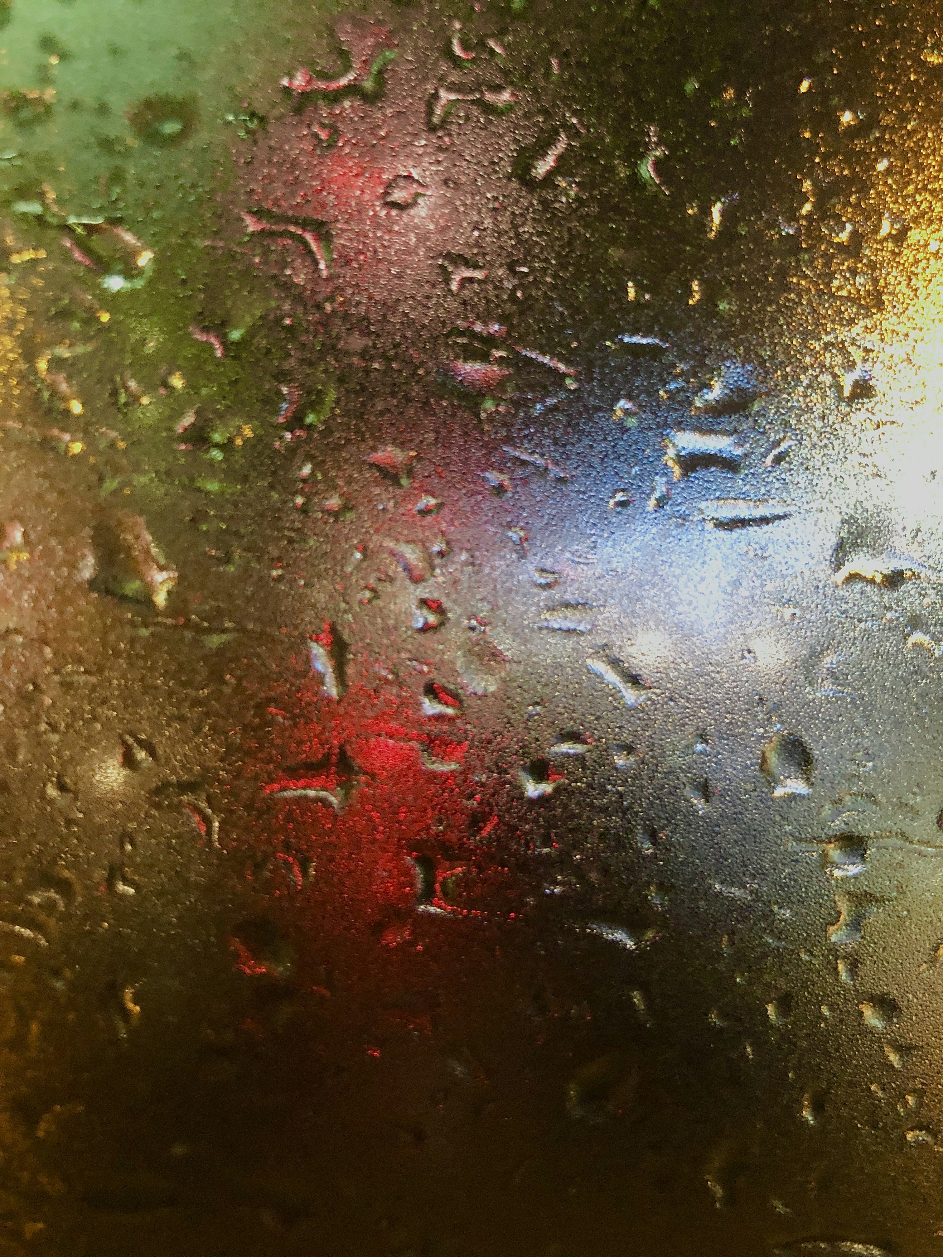 Une flaque d’eau avec des feuilles au sol photo – Image gratuite de ...