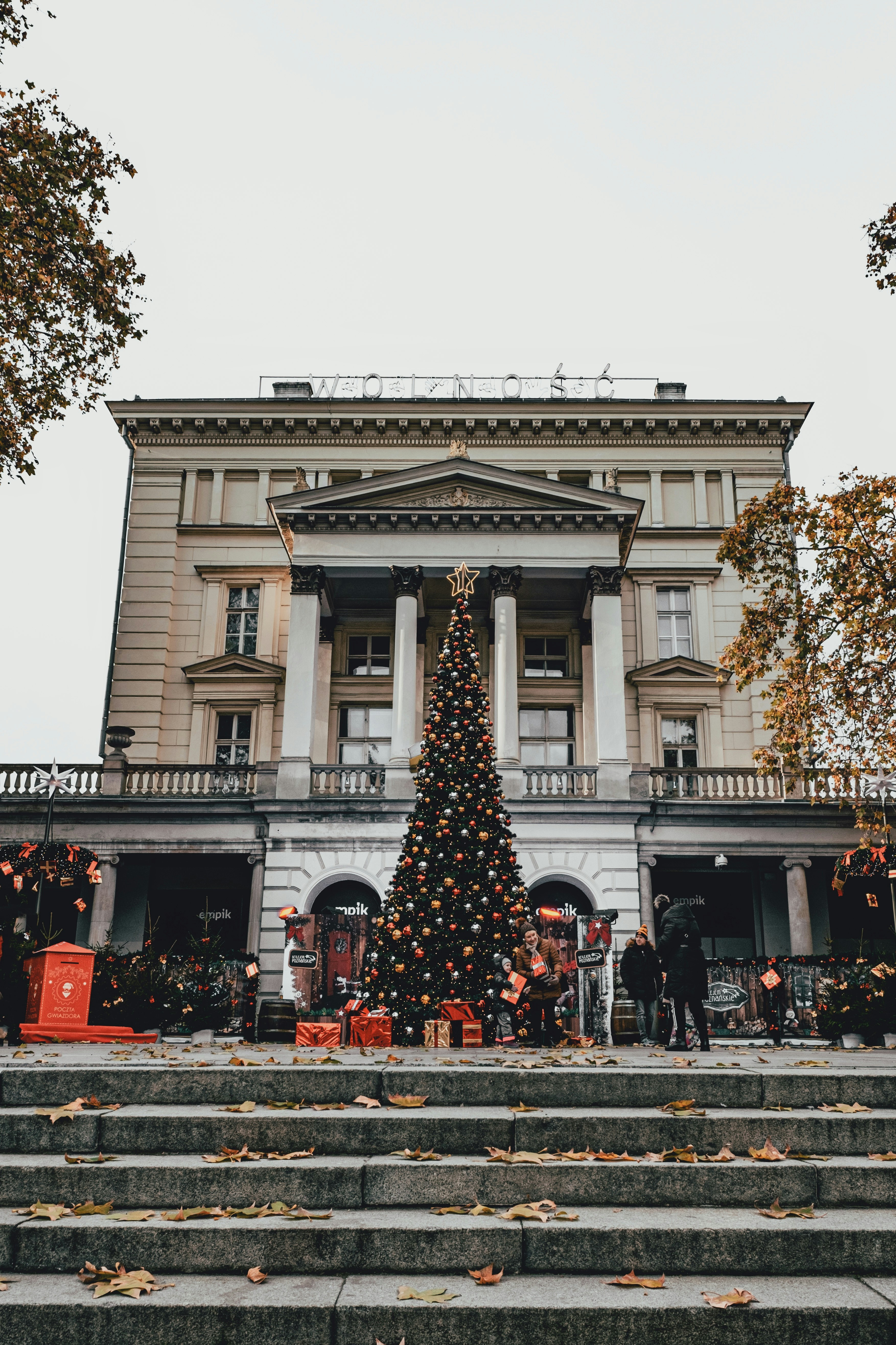 Festive Tree Gracing the Steps of a Classic Courtyard Building