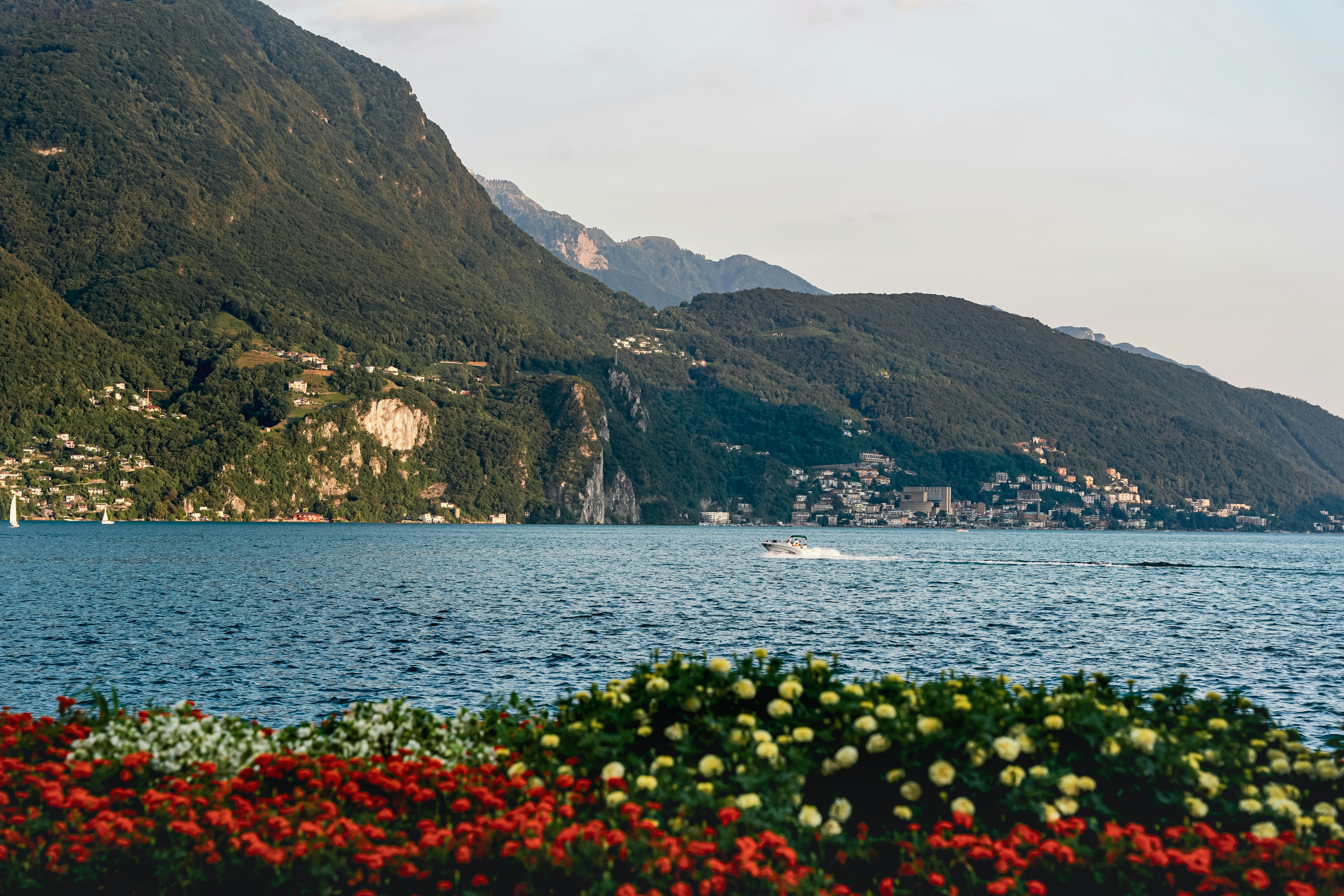 Vibrant flower beds frame a tranquil lake scene with mountains in the background and a distant town along the shore.