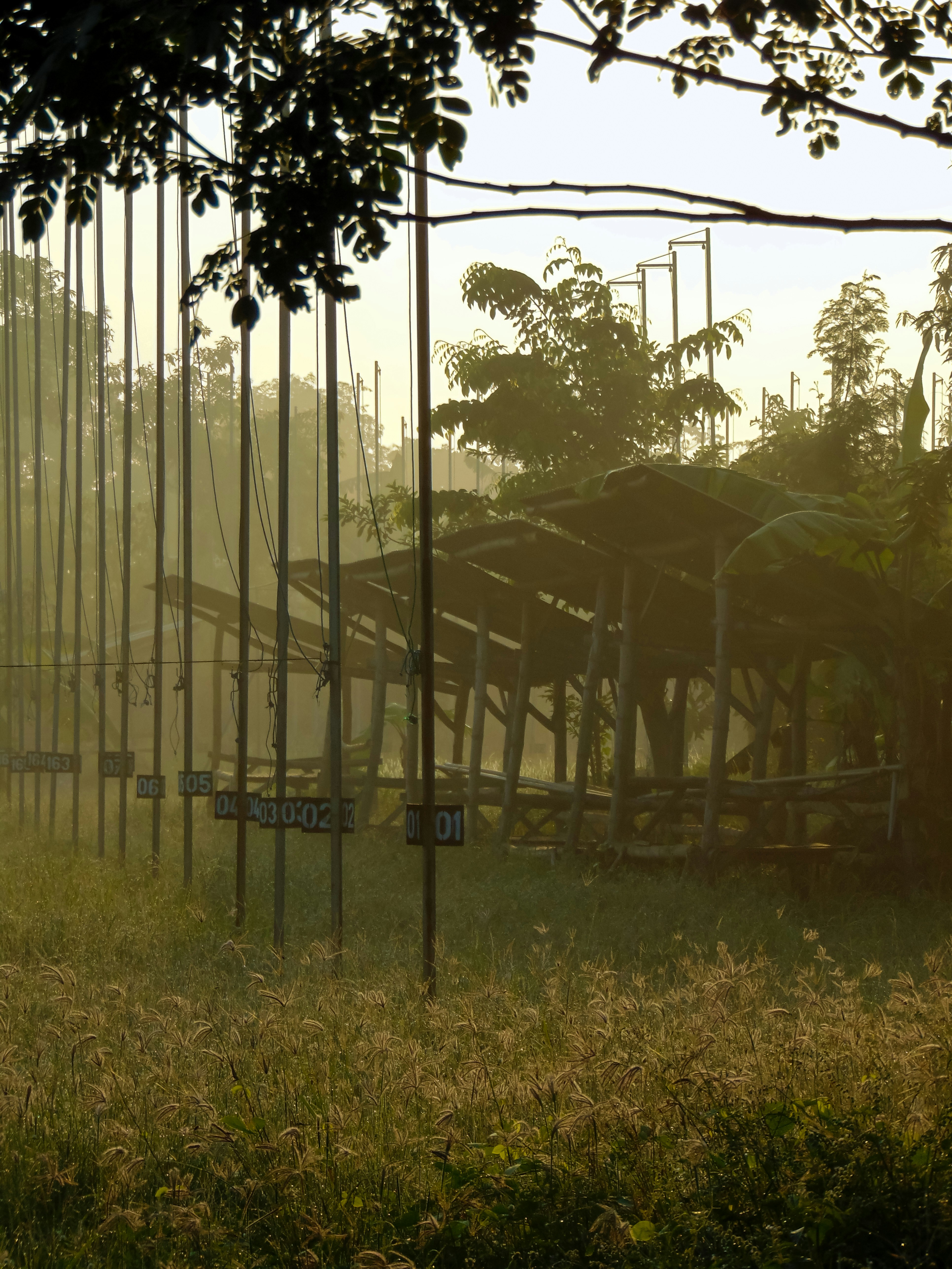 Una vía de tren con árboles en el costado foto – Imagen de Java Oriental gratuita en Unsplash
