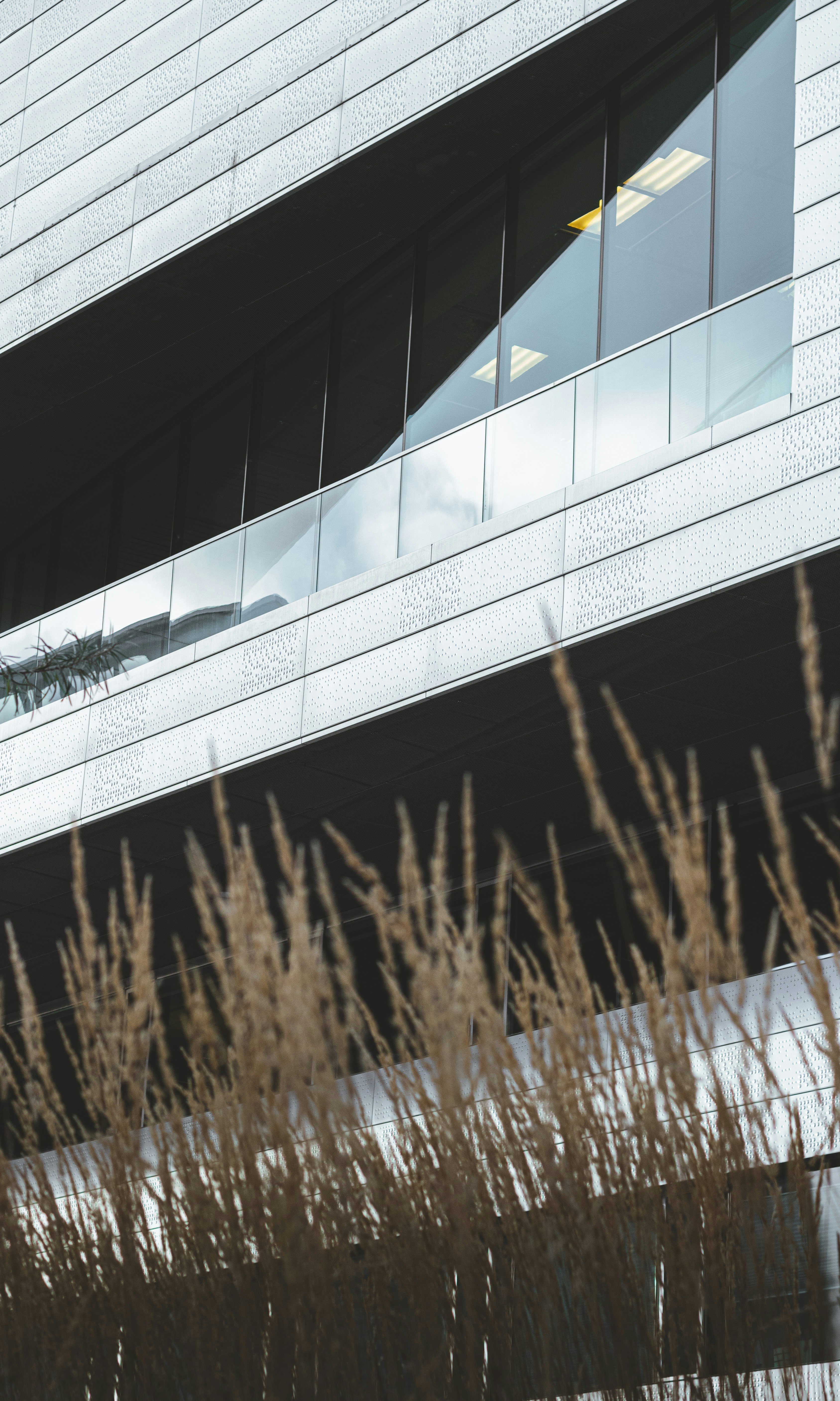 A building with glass windows photo – Free Oslo Image on Unsplash