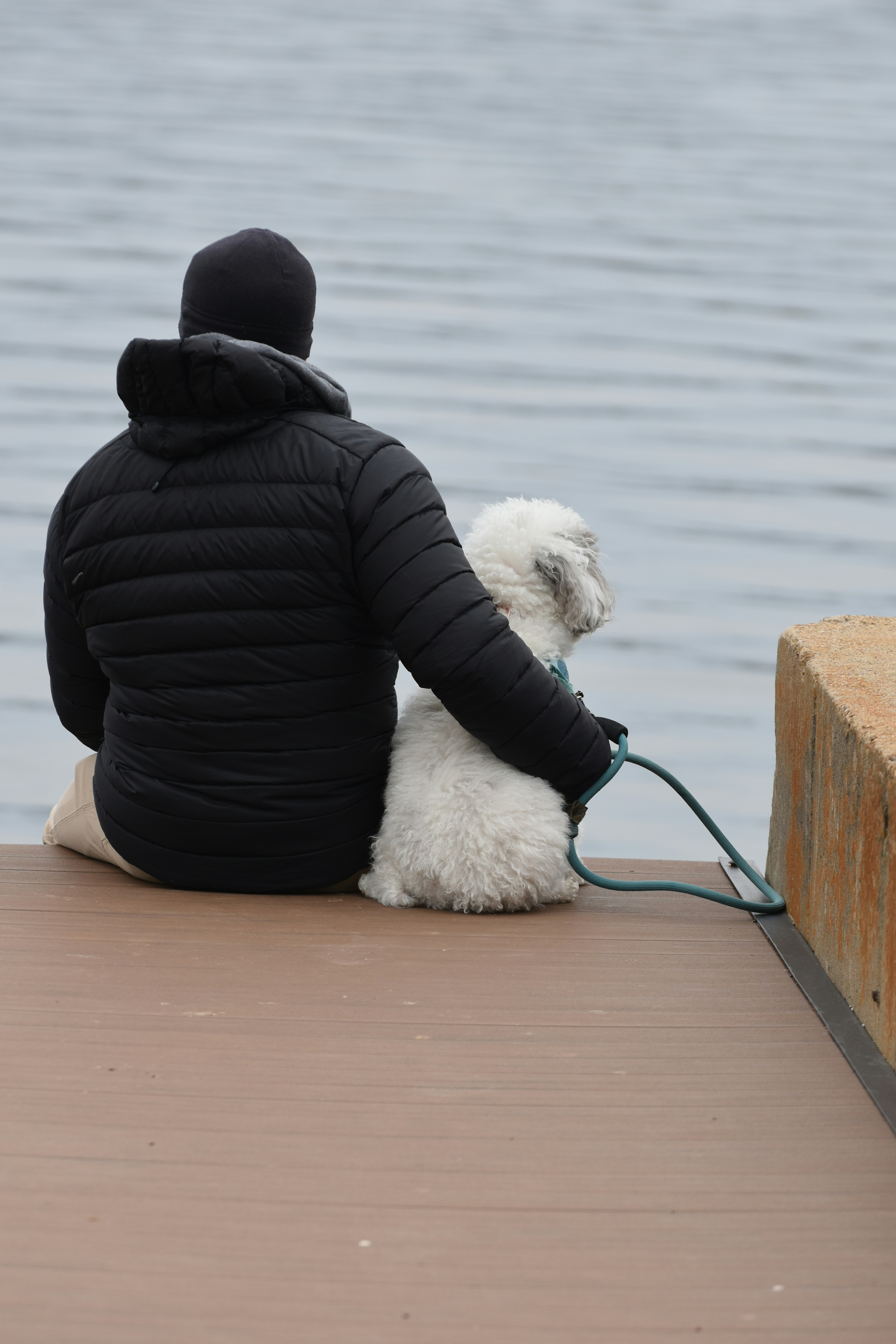 Mans best friend