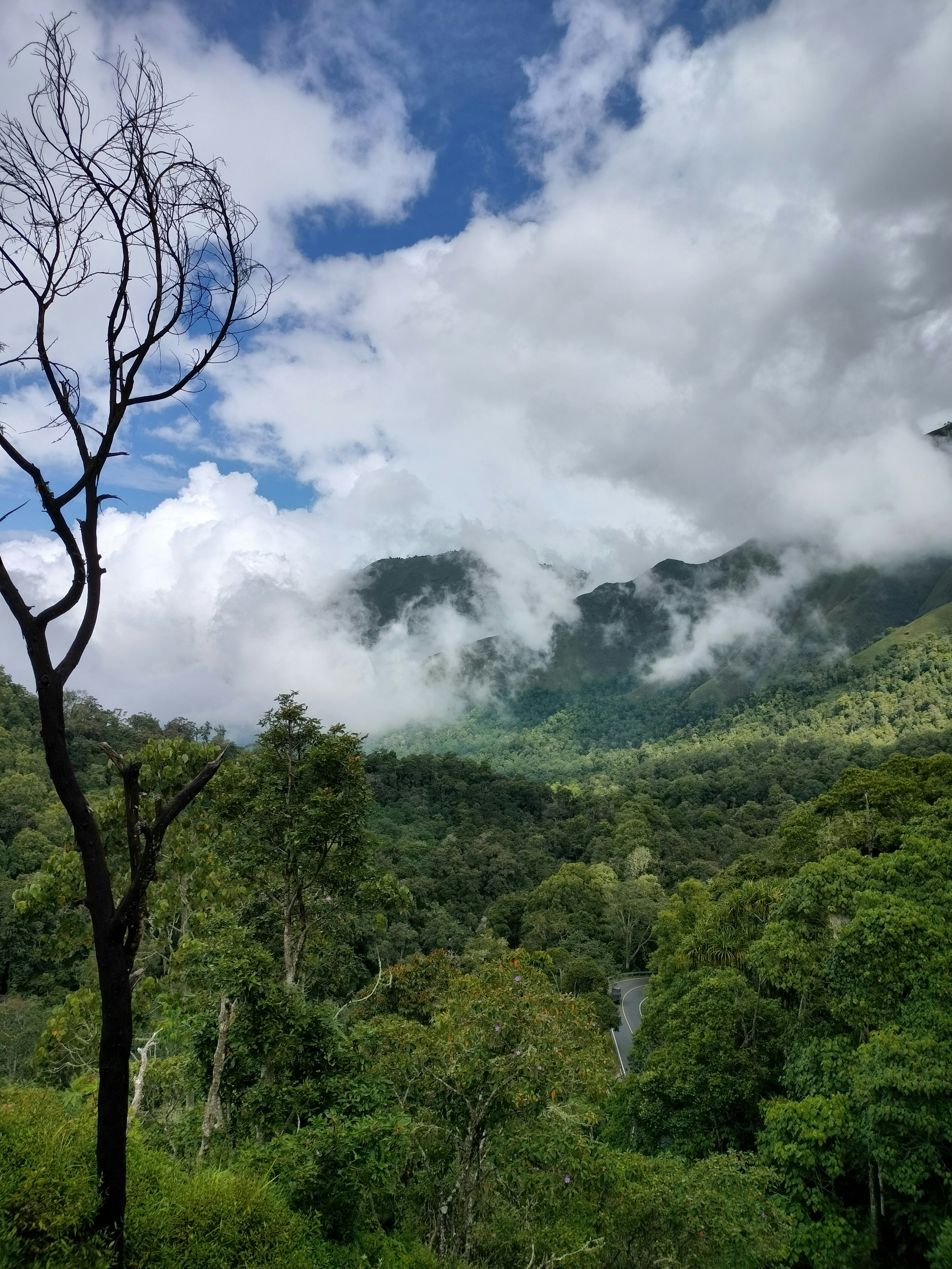 Mist-Clad Ridge Over a Verdant Valley